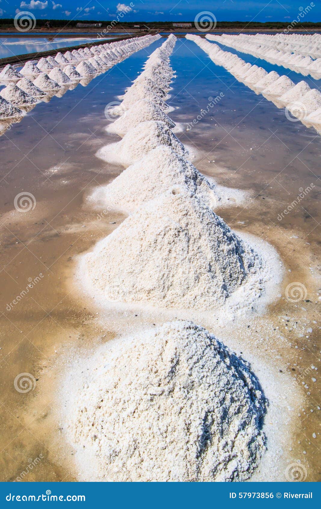 Salt fields stock photo. Image of chloride, exploration - 57973856