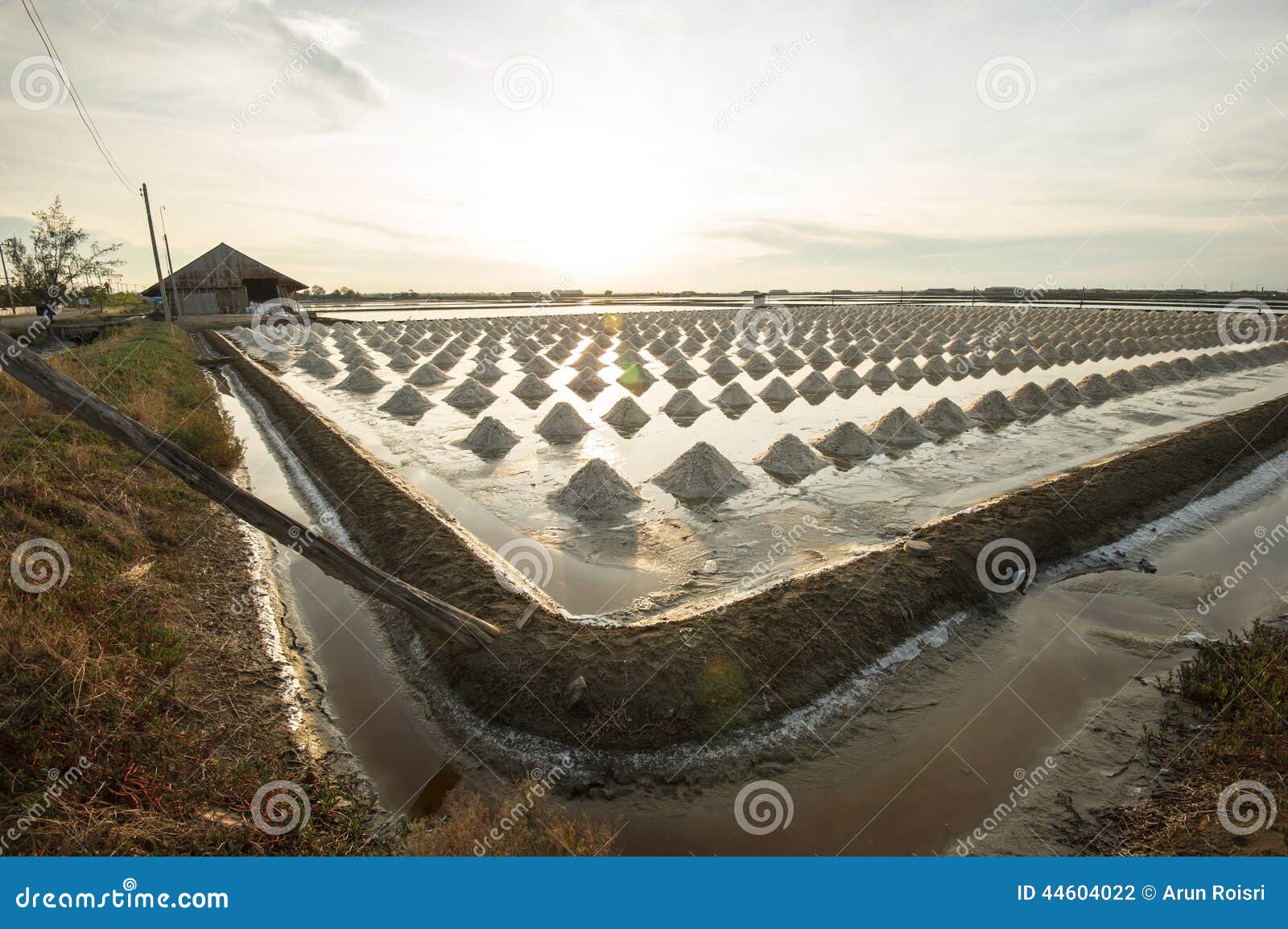 Salt Fields in Thailand with Sunset Stock Photo - Image of industry ...