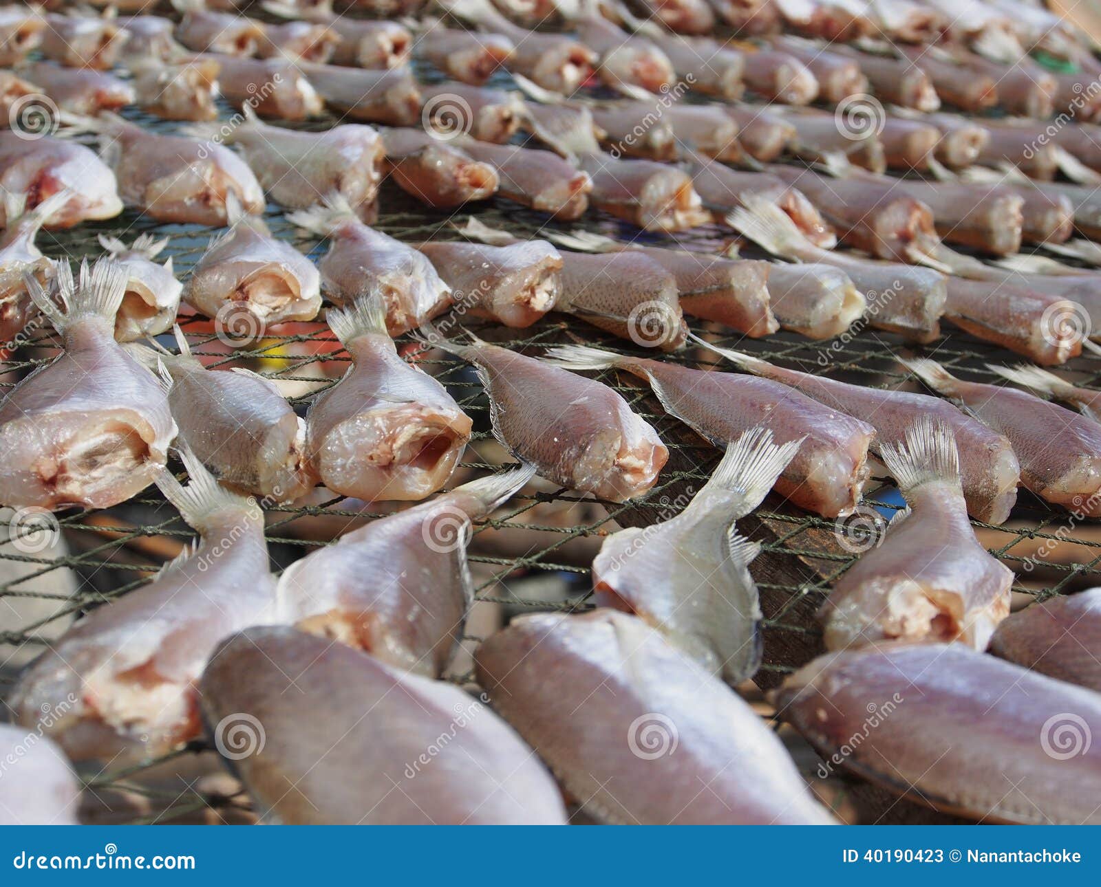 Salt Fish on the Net Dried in the Sun To Cook Stock Image - Image of ...
