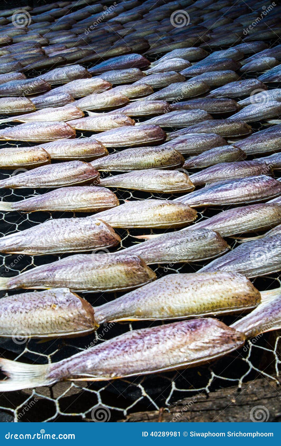 Salt fish in sunlight stock image. Image of grating, fresh - 40289981