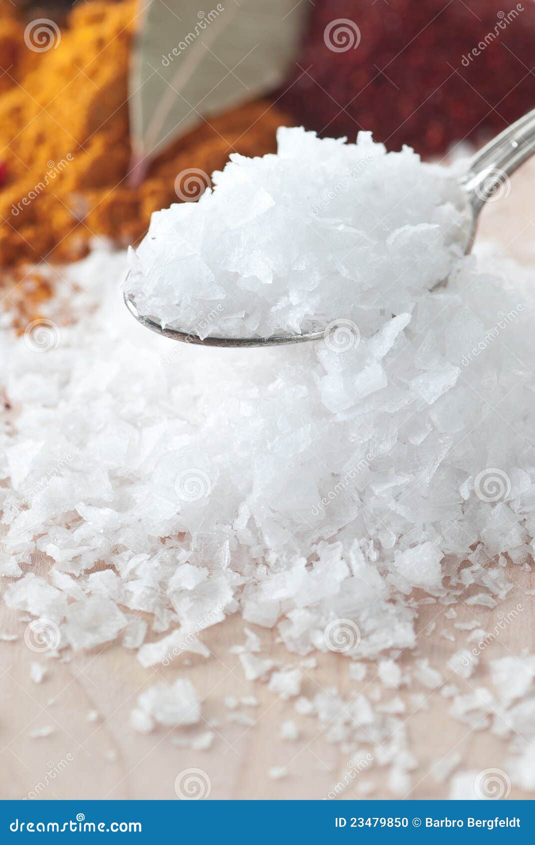 Salt Flakes stock photo. Image of flakes, food, vertical - 23479850