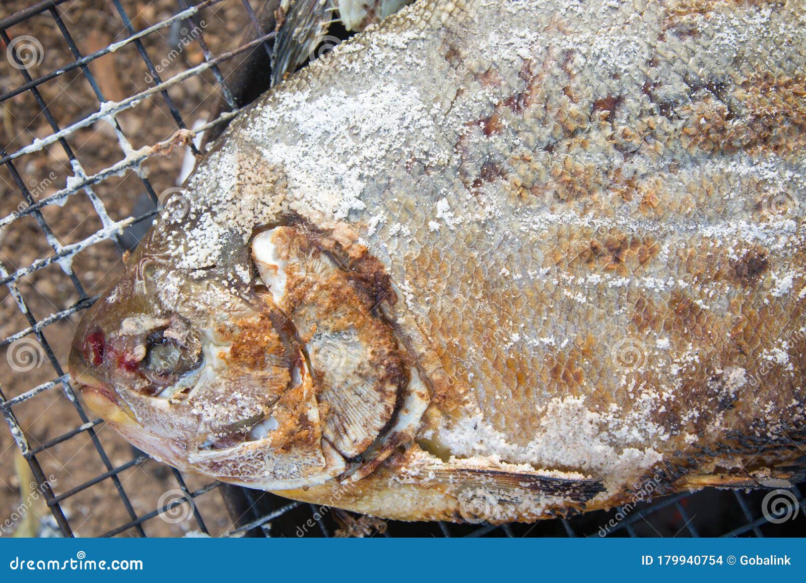 Salt grilled fish stock photo. Image of grilled, dinner - 179940754