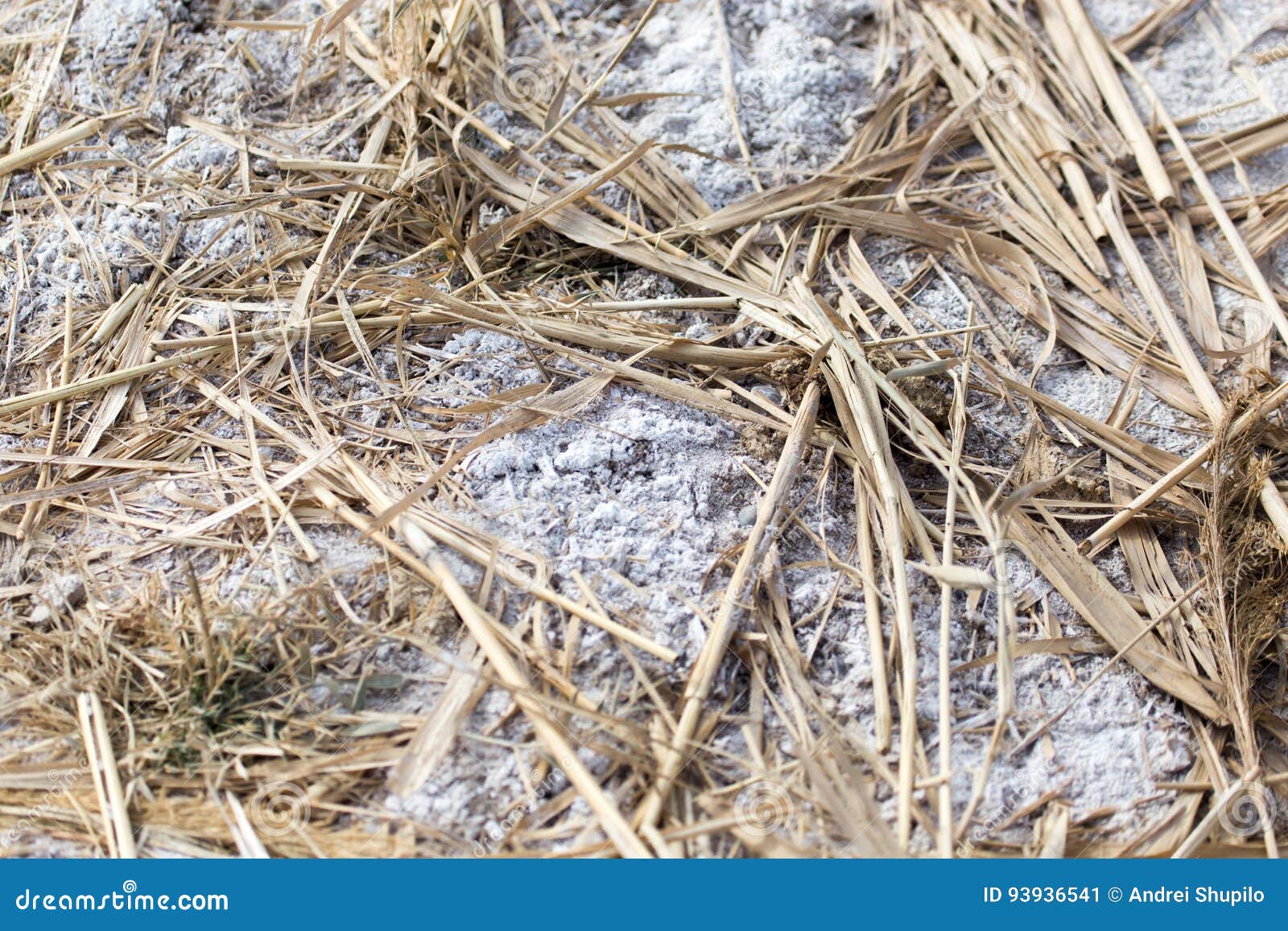 Salt on the Ground in Nature Stock Image - Image of desert, climate ...