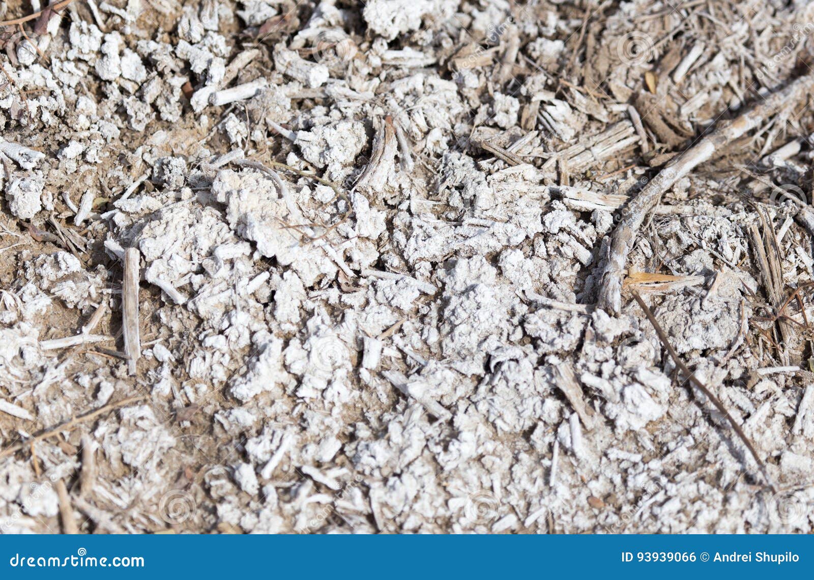 Salt on the Ground in Nature Stock Photo - Image of ecology, rough ...