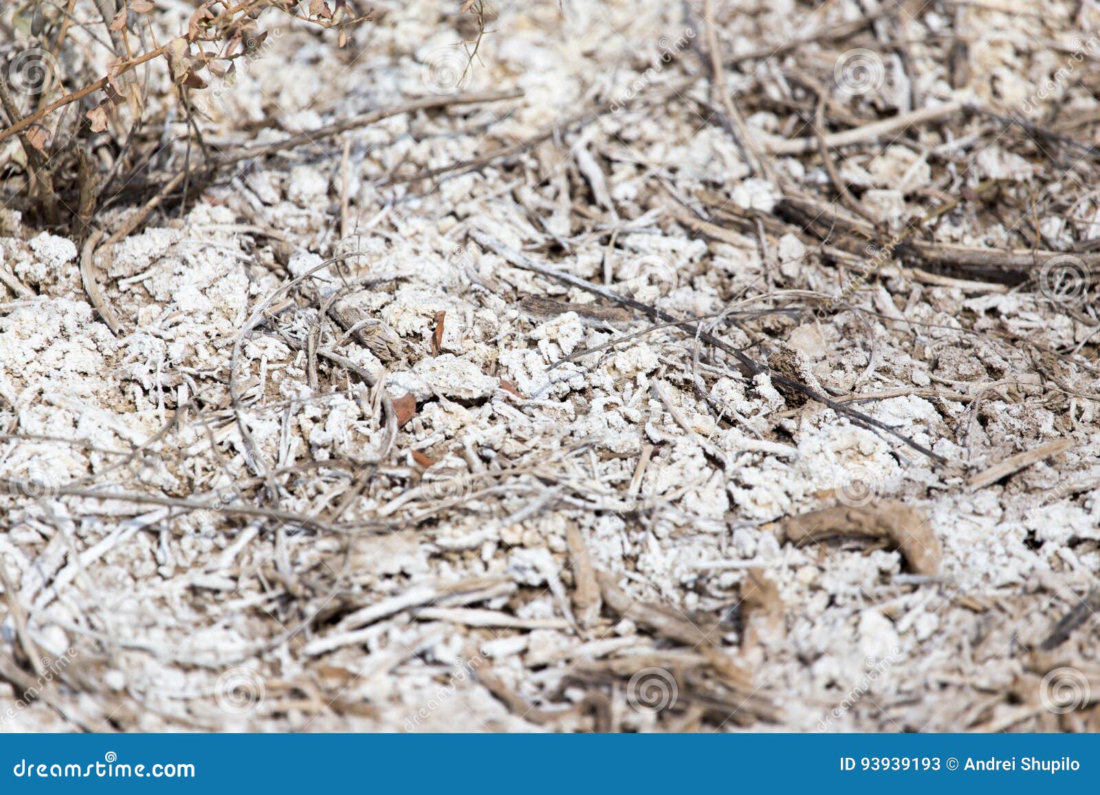 Salt on the Ground in Nature Stock Image - Image of breathless, heat ...