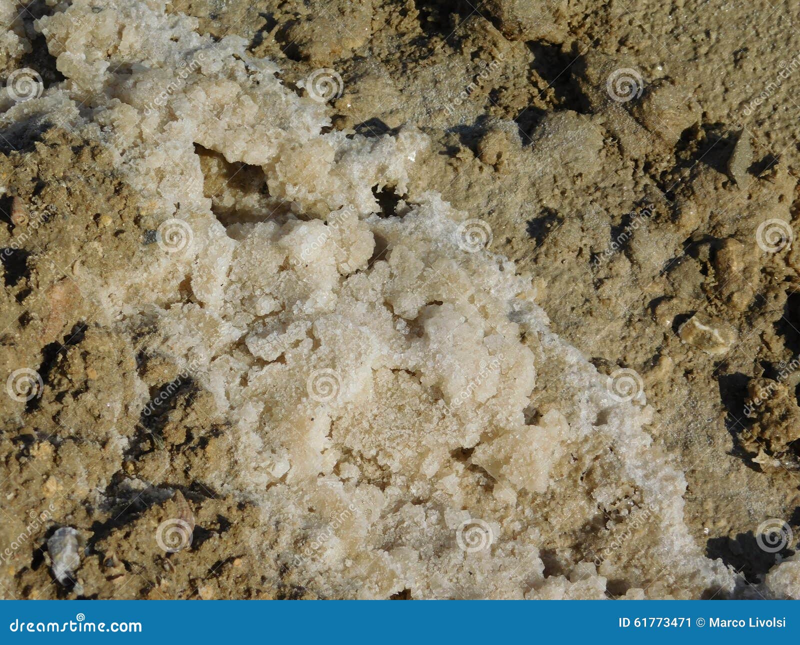 Salt on the ground stock image. Image of morning, field - 61773471