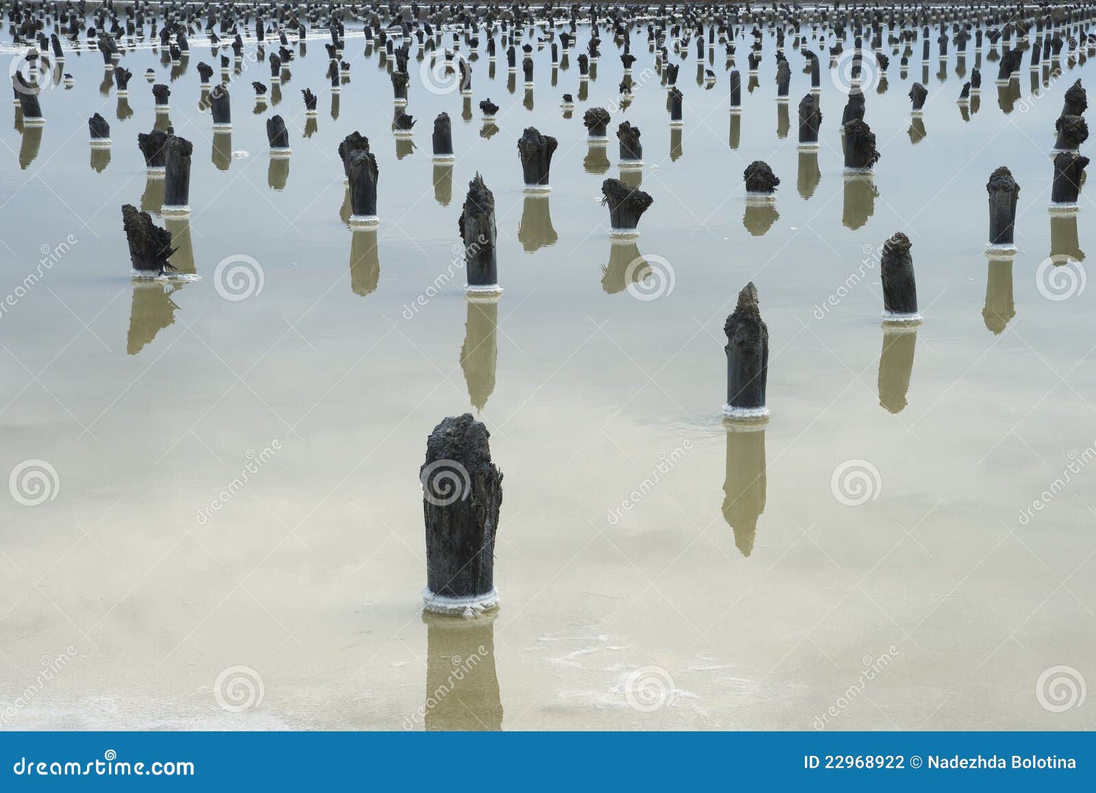 Salt lake Baskunchak stock photo. Image of repetition - 22968922