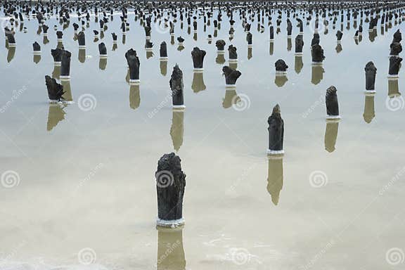 Salt lake Baskunchak stock photo. Image of repetition - 22968922