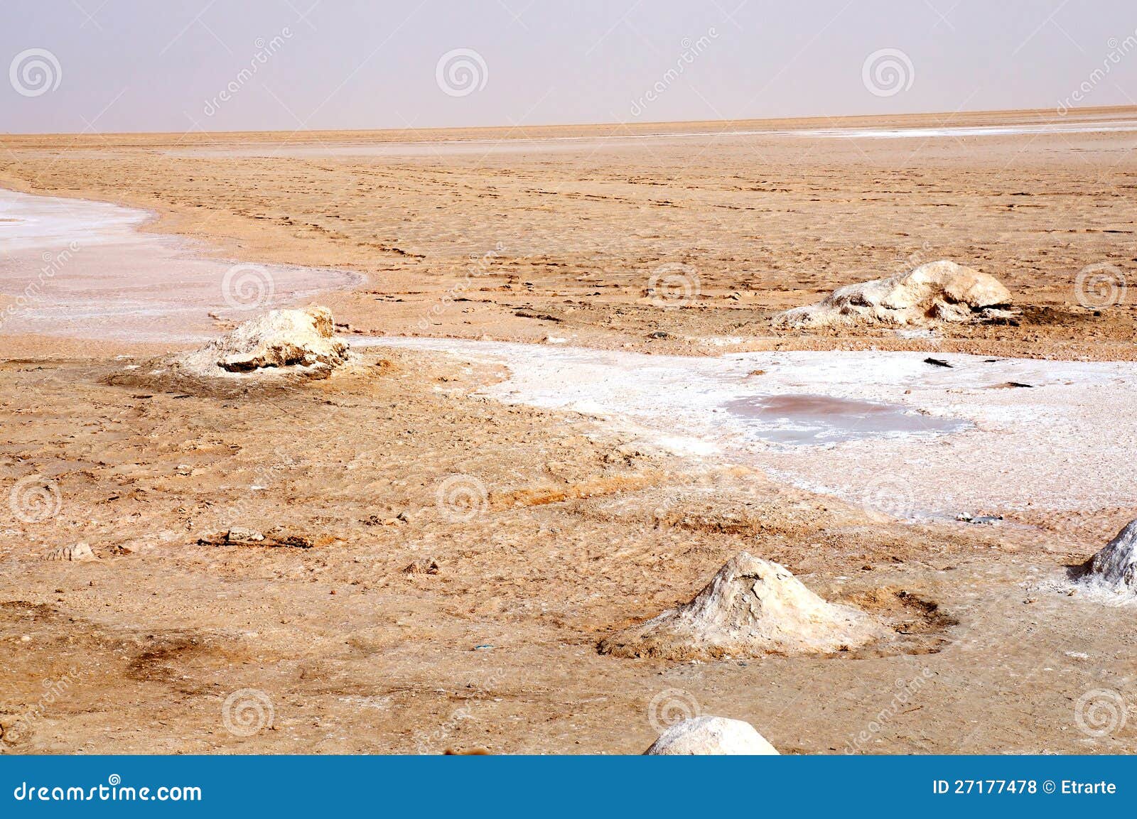 The Salt Lake of Chott El-Jerid in Tunisia Stock Photo - Image of lands ...