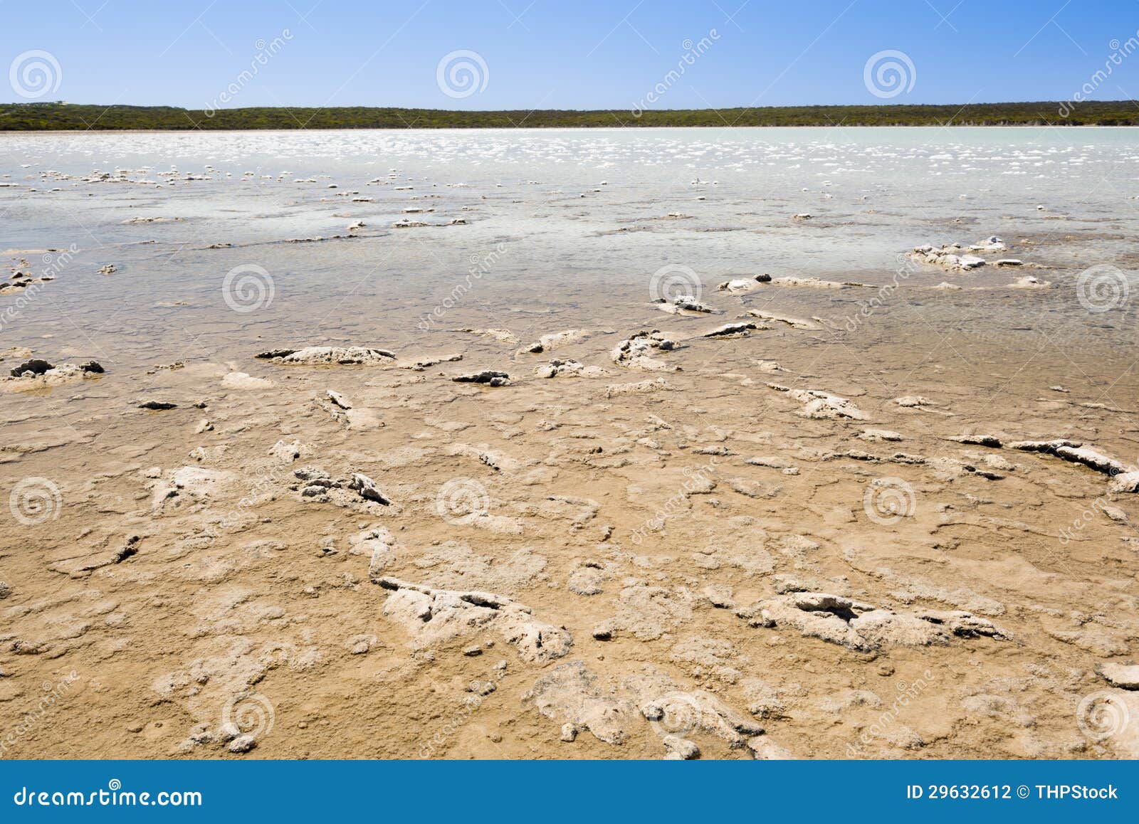 Salt Lake Forming stock photo. Image of crack, clay, cracks - 29632612