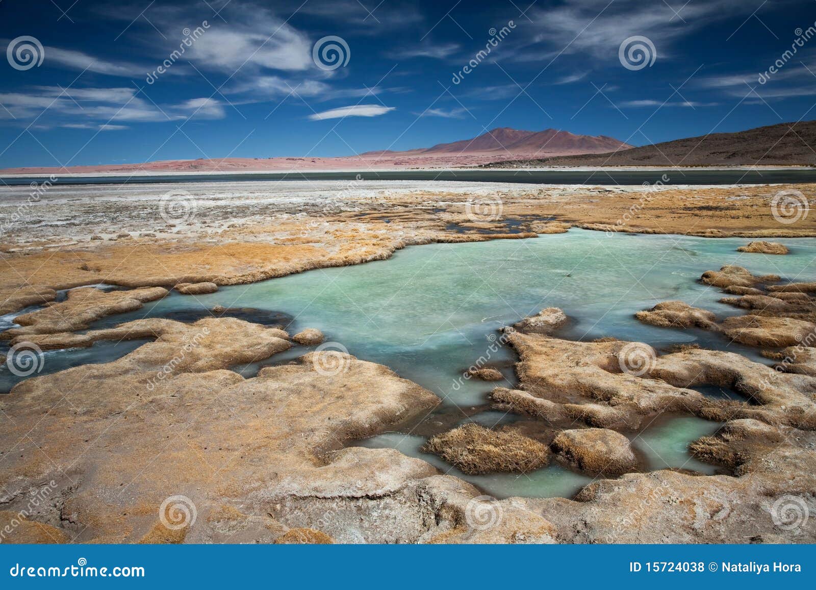 Salt Lake Salar De Tara, Chile Stock Photo - Image of lake, area: 15724038