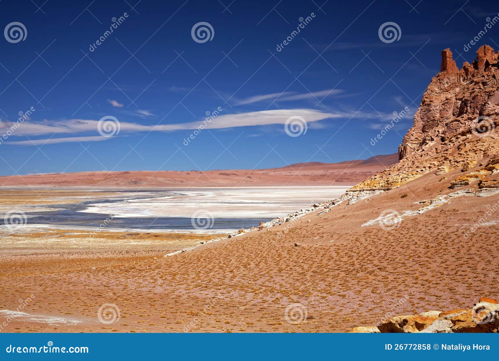 Lake Salar De Uyuni Royalty-Free Stock Photo | CartoonDealer.com #44319825