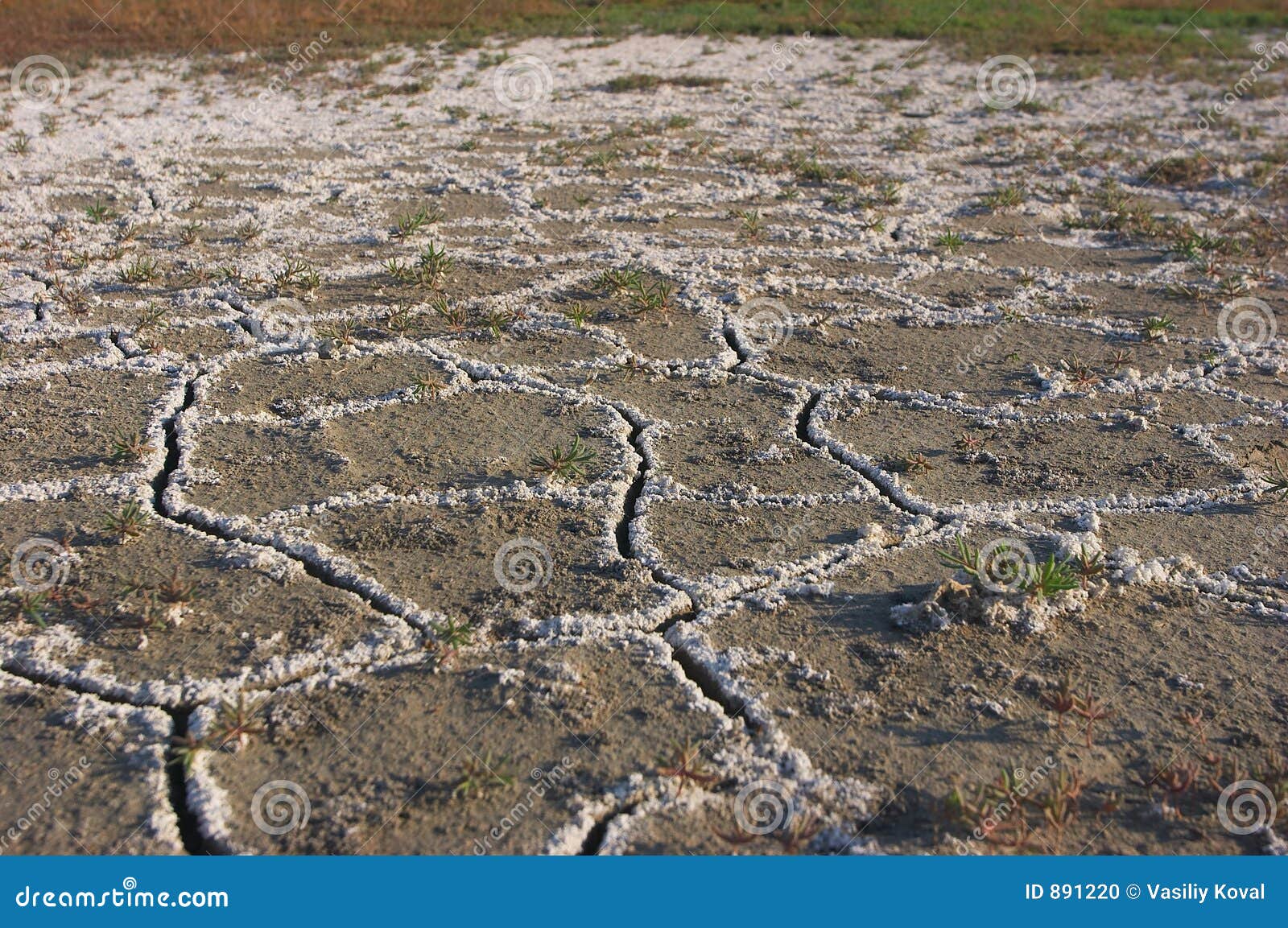 Salt Lake - Salt on the Sand Stock Photo - Image of landscape, beach ...
