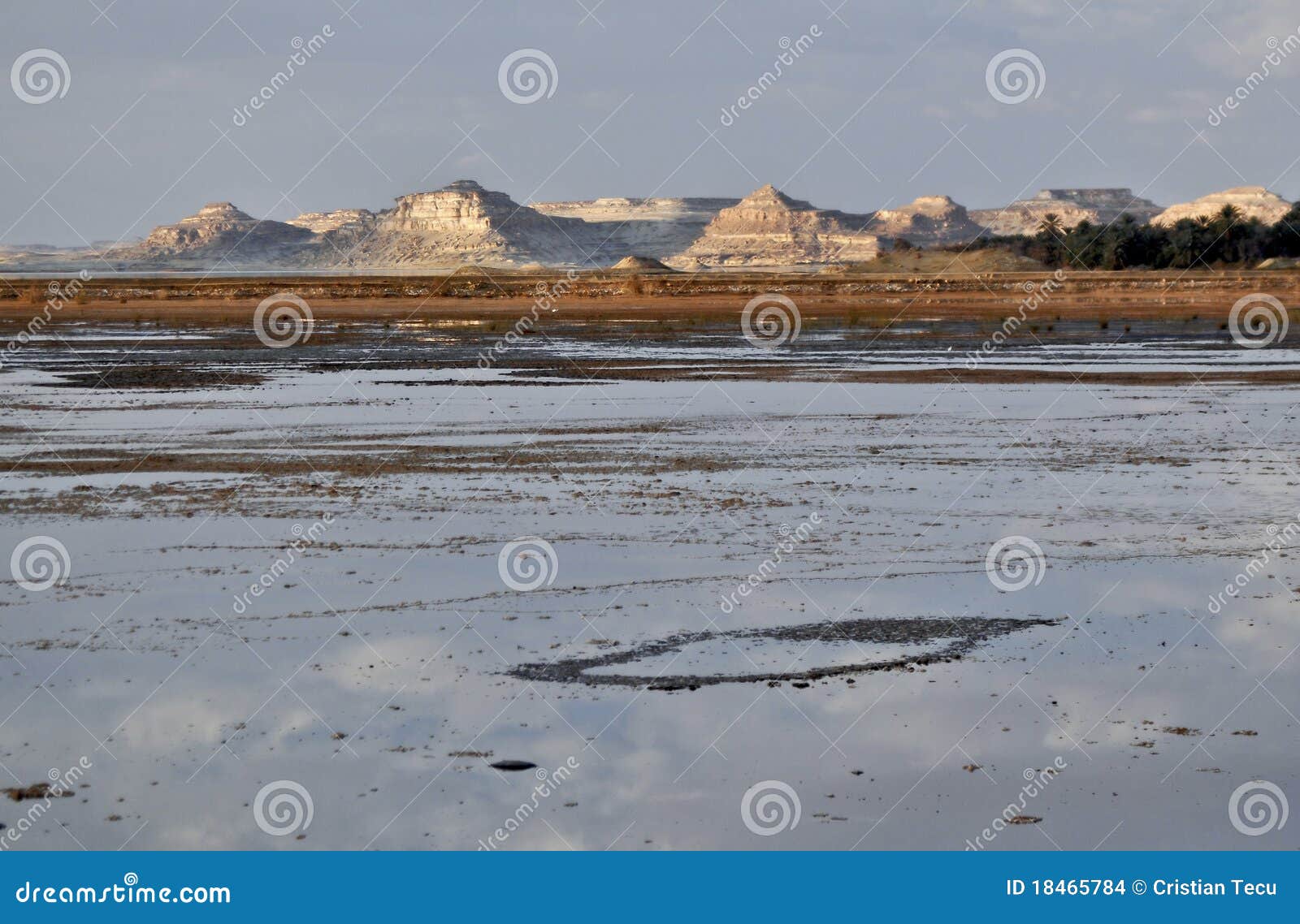 Salt Lake in the Siwa Oasis Stock Photo - Image of water, reflection ...