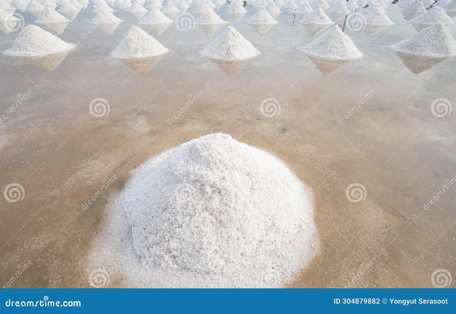 Salt is a Lot. it is a Traditional Salt Making Process Stock Photo ...