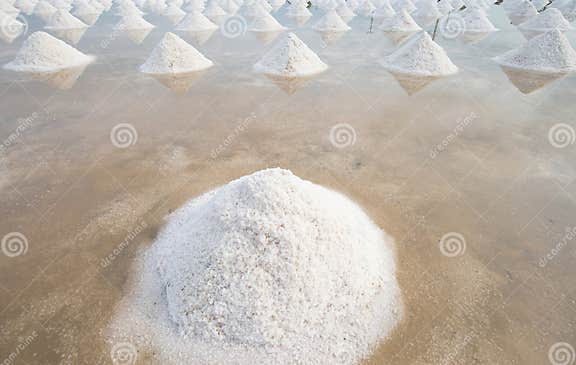 Salt is a Lot. it is a Traditional Salt Making Process Stock Photo ...