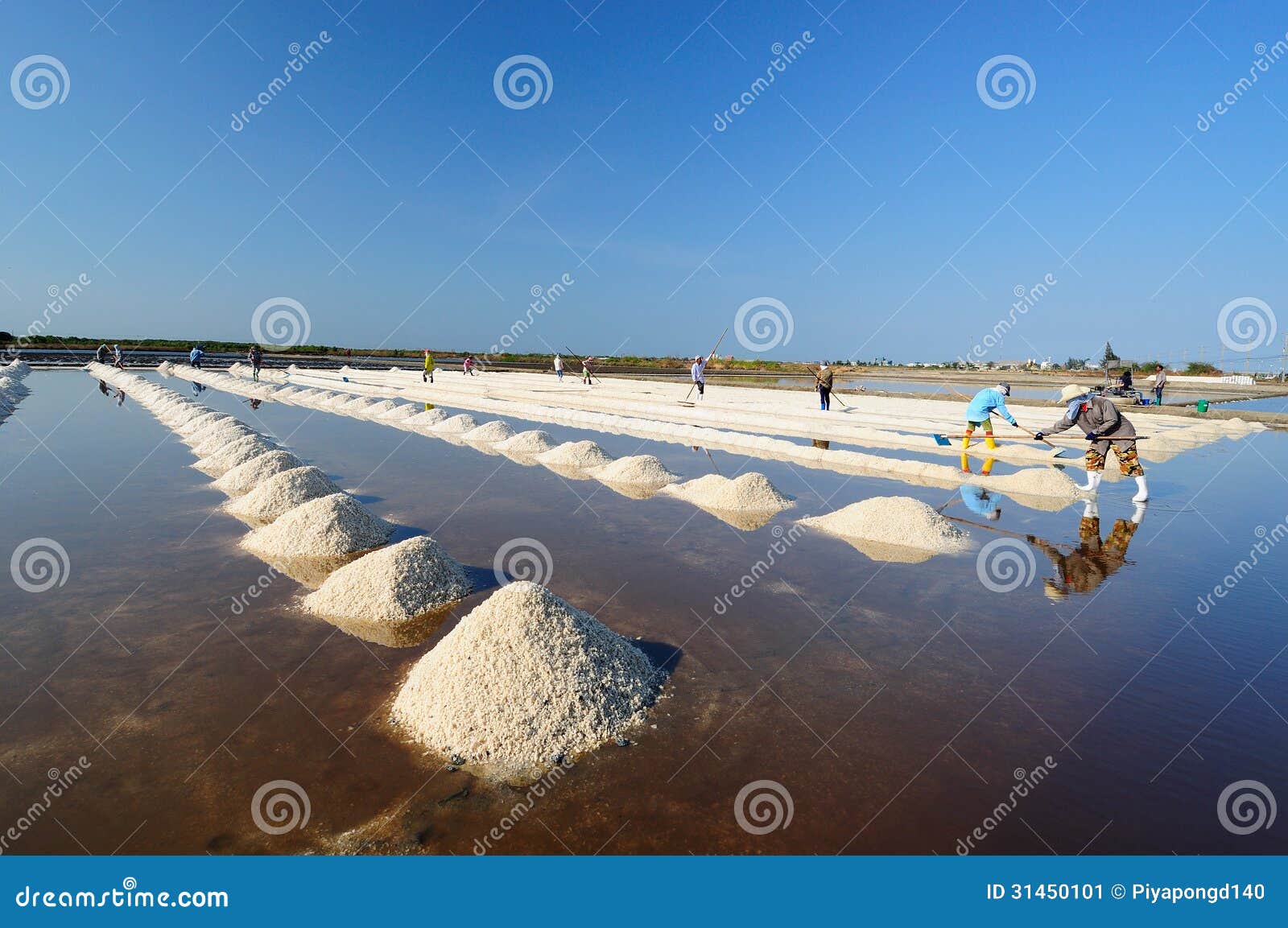 Salt editorial photo. Image of saltfarm, ingredient, asia - 31450101