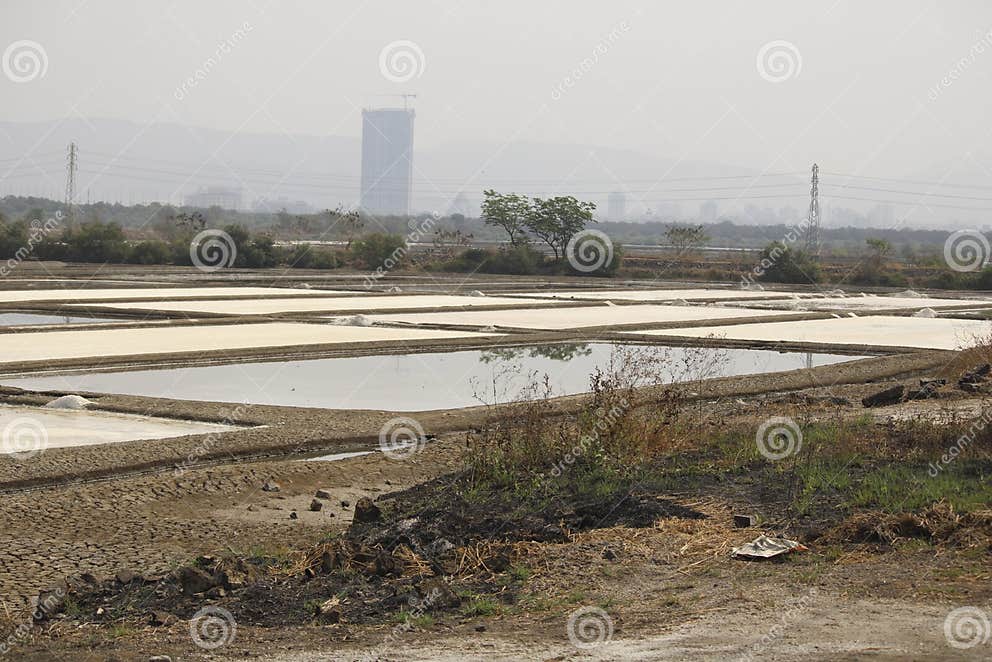 Salt Making Process from Ocean or Concentrating Pond 001 Stock Photo ...