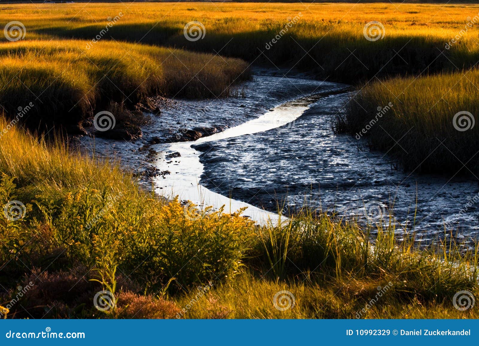 Salt Marsh Trail - Rissers Beach, Nova Scotia Stock Image ...