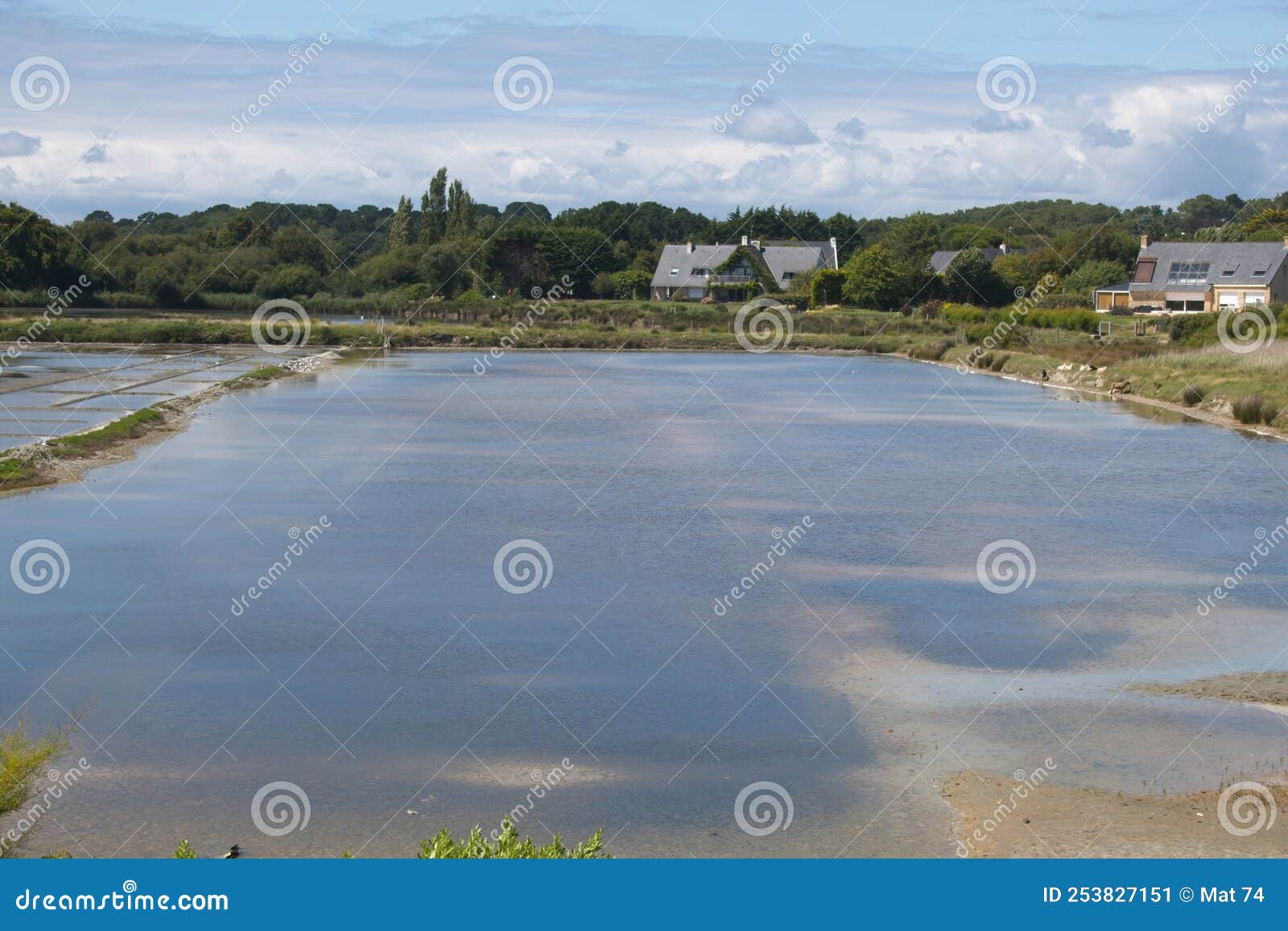 Salt Marsh in Brittany in Summer Stock Image - Image of pattern, salt ...