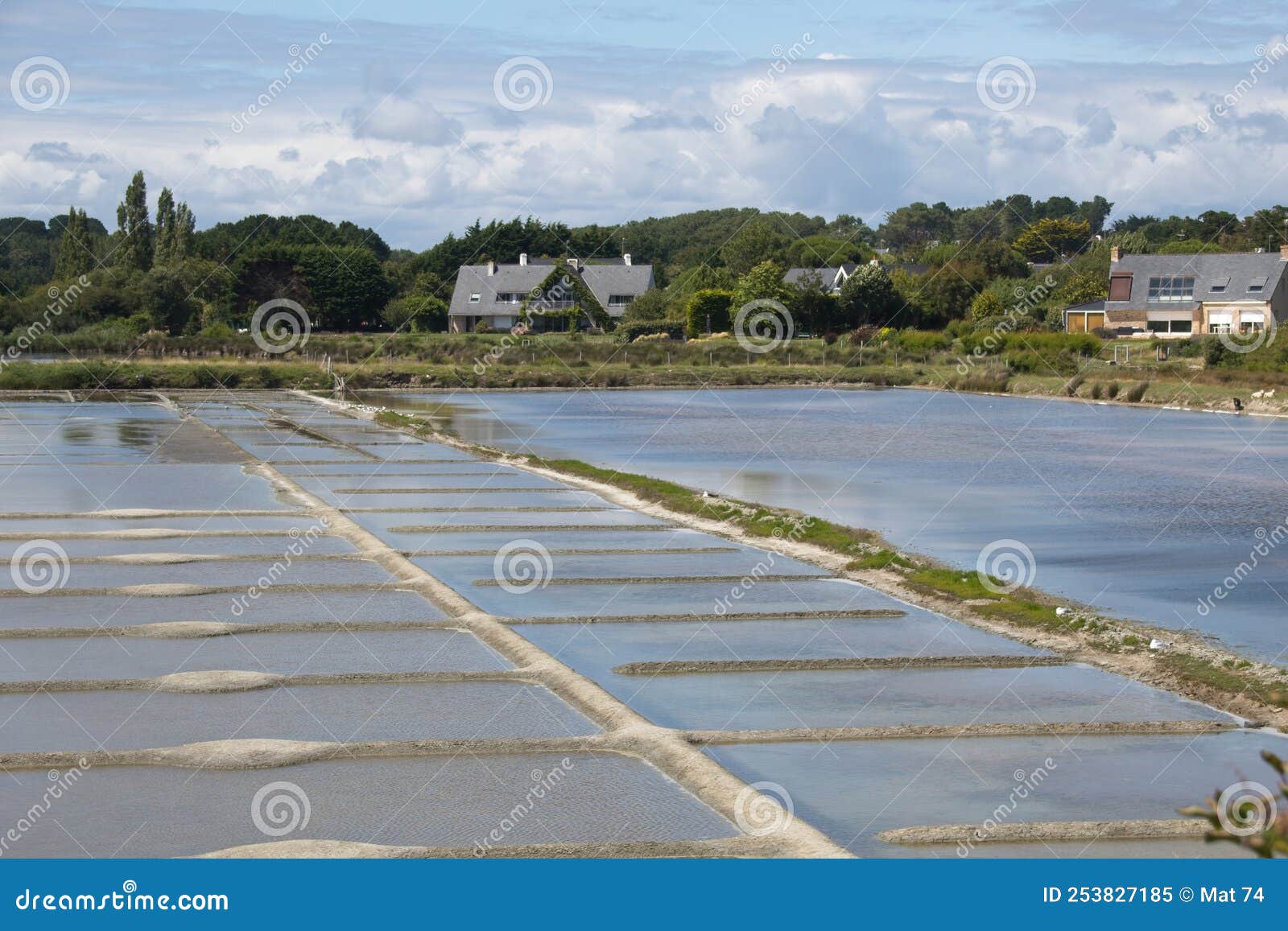 Salt Marsh in Brittany in Summer Stock Image - Image of pattern, road ...