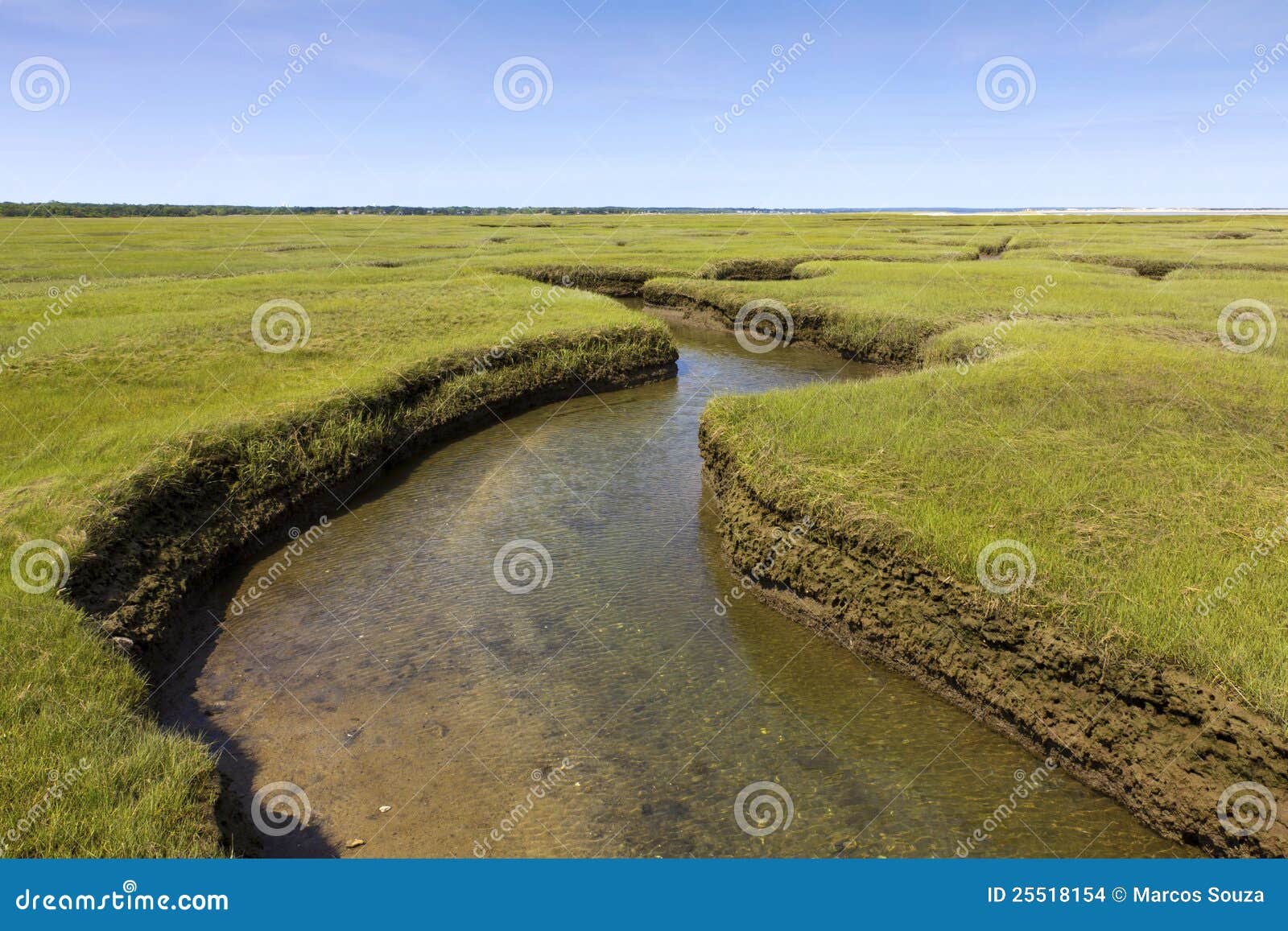 Salt Marsh Land stock photo. Image of marshland, grass - 25518154