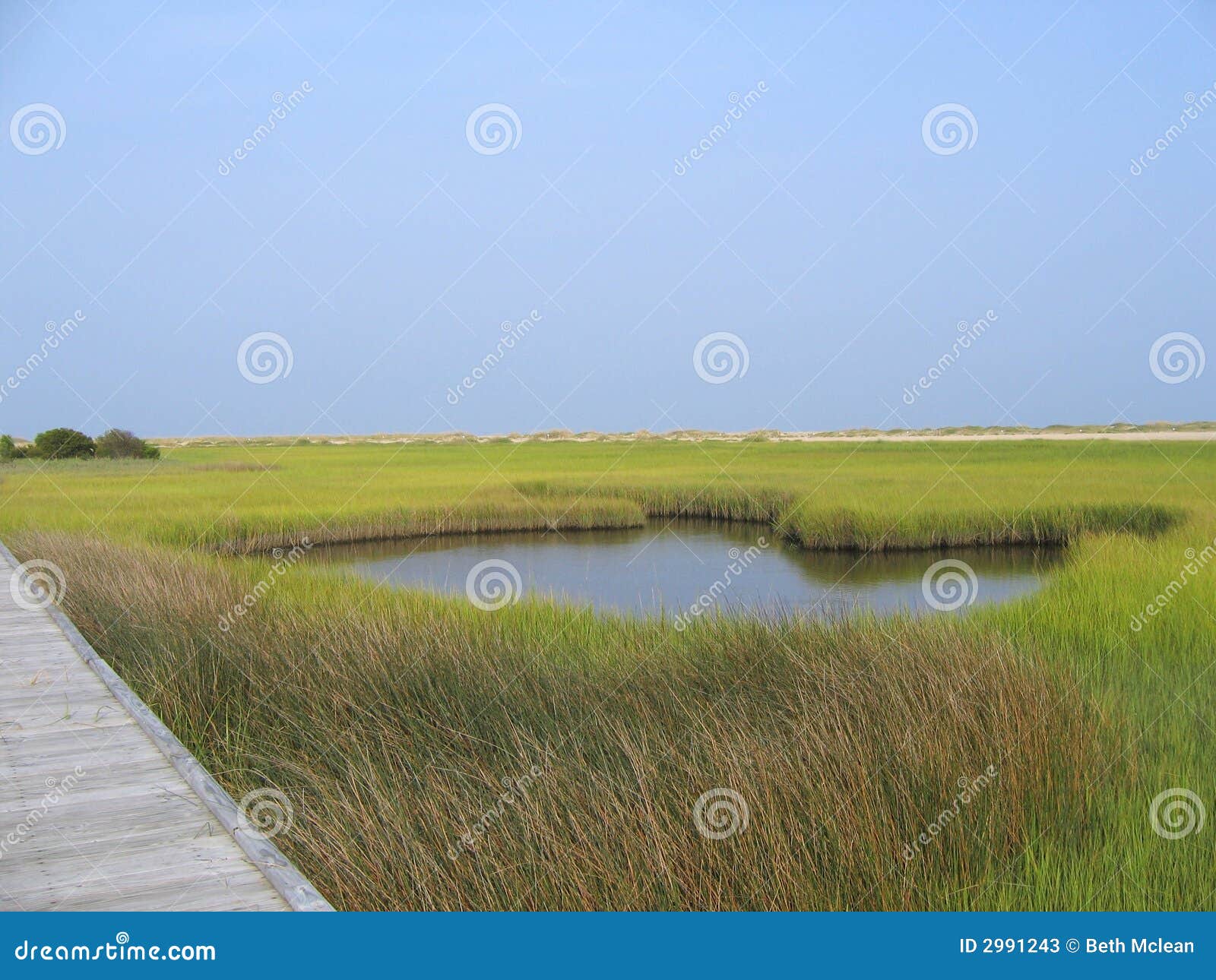 Salt Marsh Trail - Rissers Beach, Nova Scotia Stock Image ...