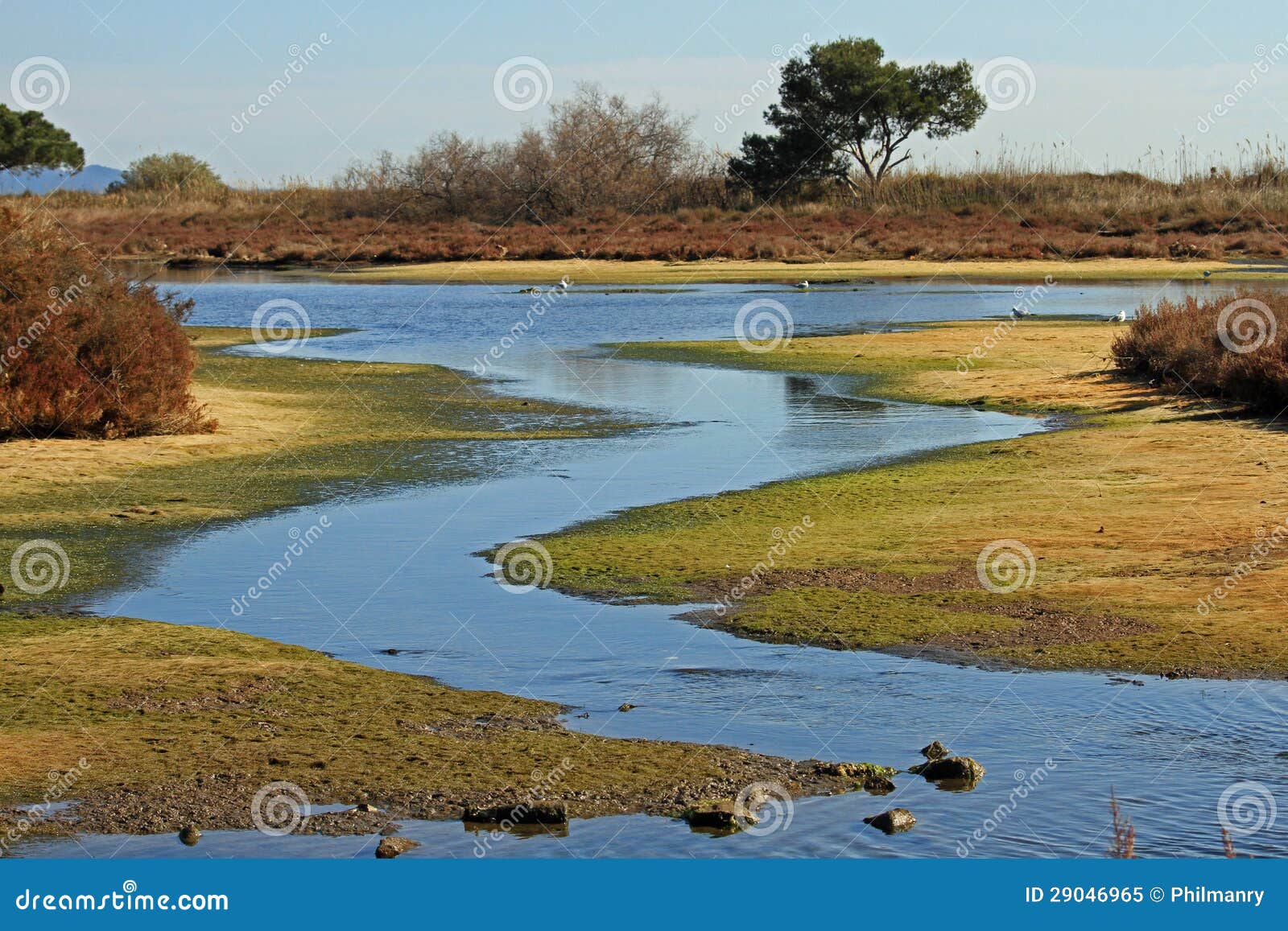 Salt-marshes stock image. Image of mediterranean, outdoor - 29046965