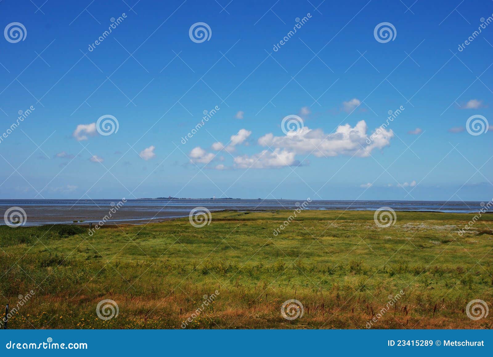 Salt meadow stock image. Image of meadow, landscape, water - 23415289