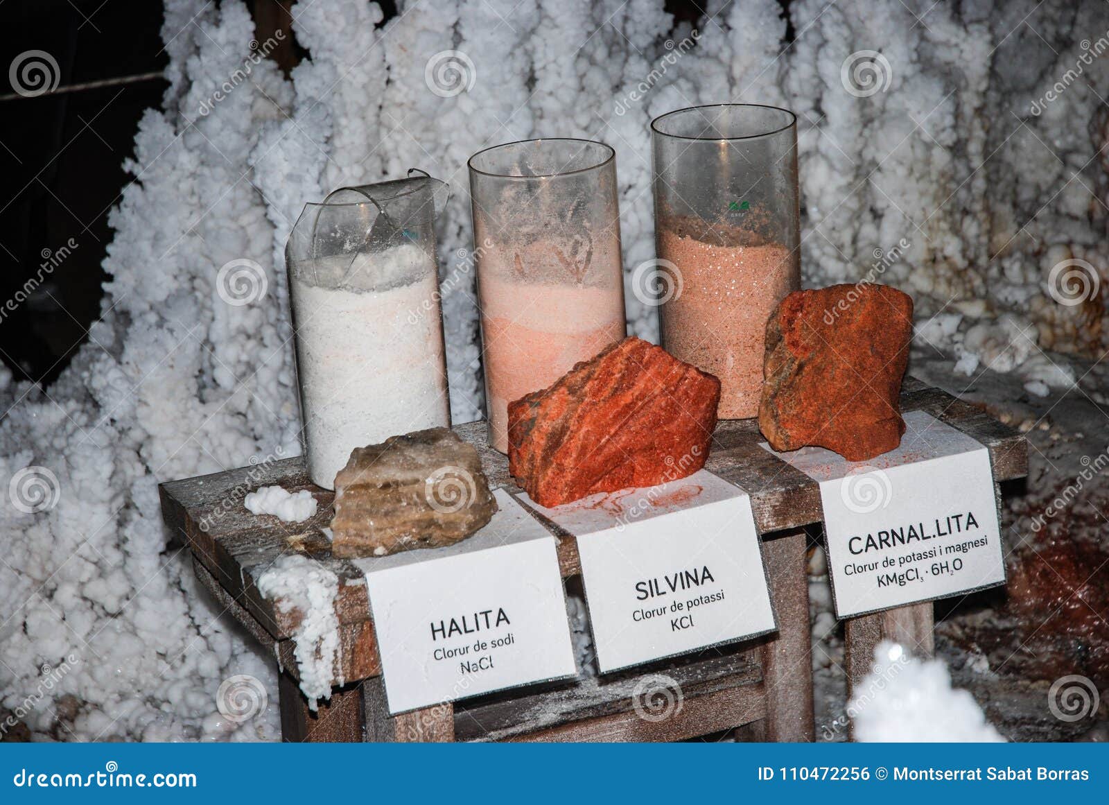 Salt Minerals with Different Types of Halite Crystallization Carnalite ...
