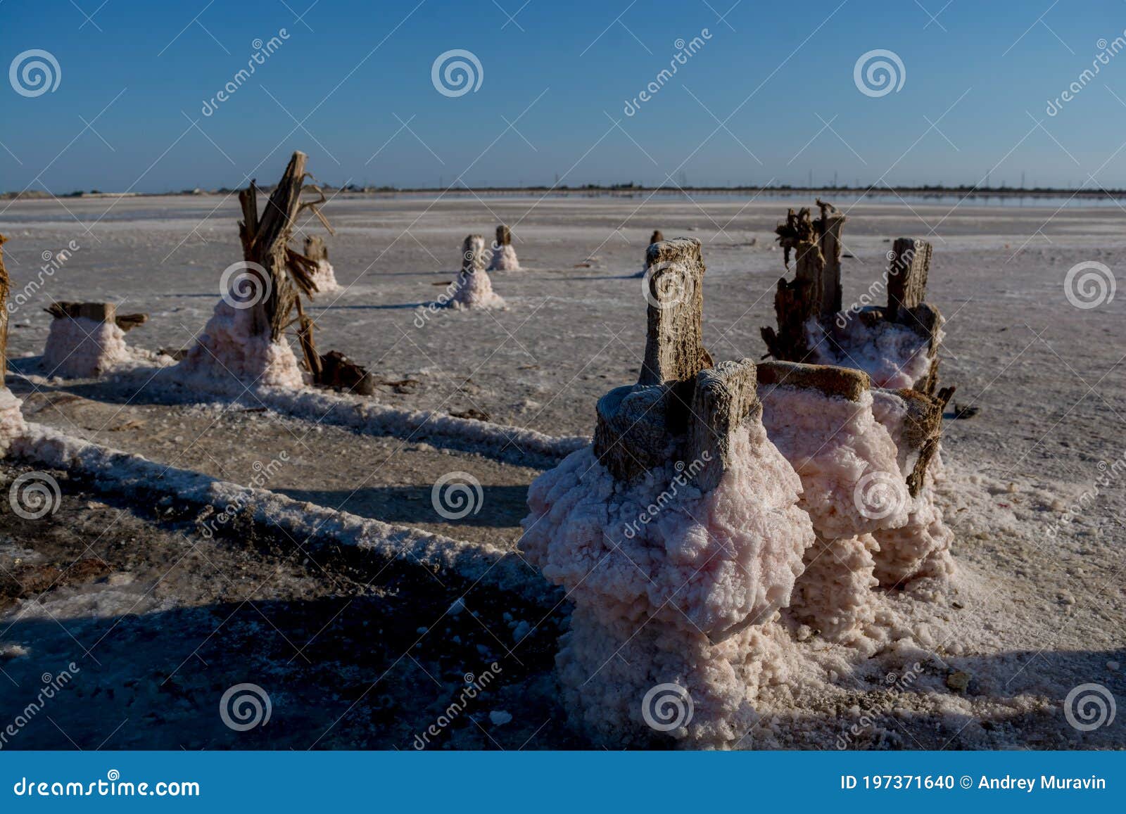 Salt mining lake stock photo. Image of white, land, salt - 197371640