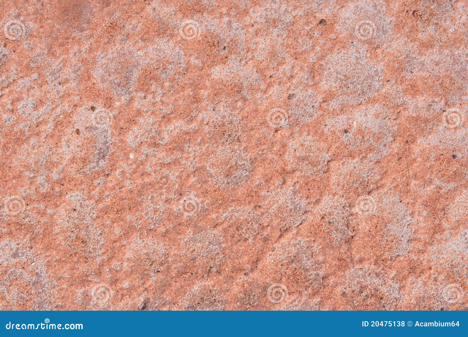 Salt Mottled on Sandy Ground Stock Photo - Image of texture, sand: 20475138