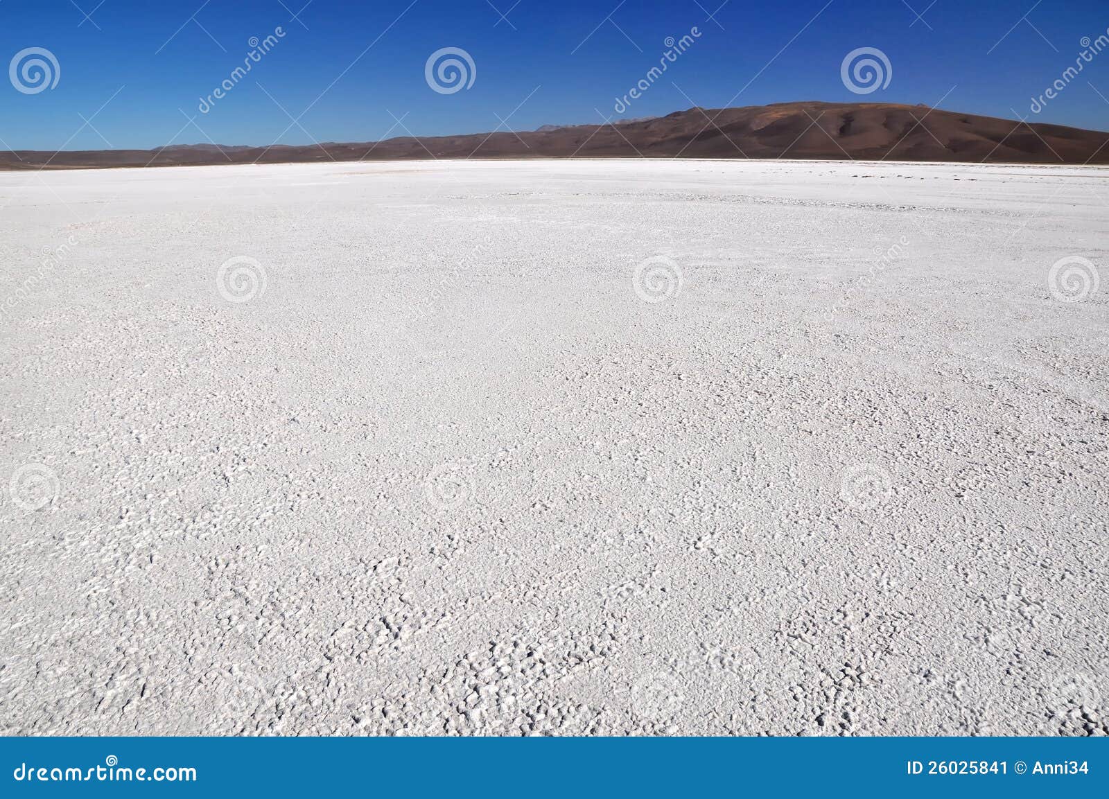 Salt Pan in the Atacama Desert in Chile Stock Image - Image of white ...