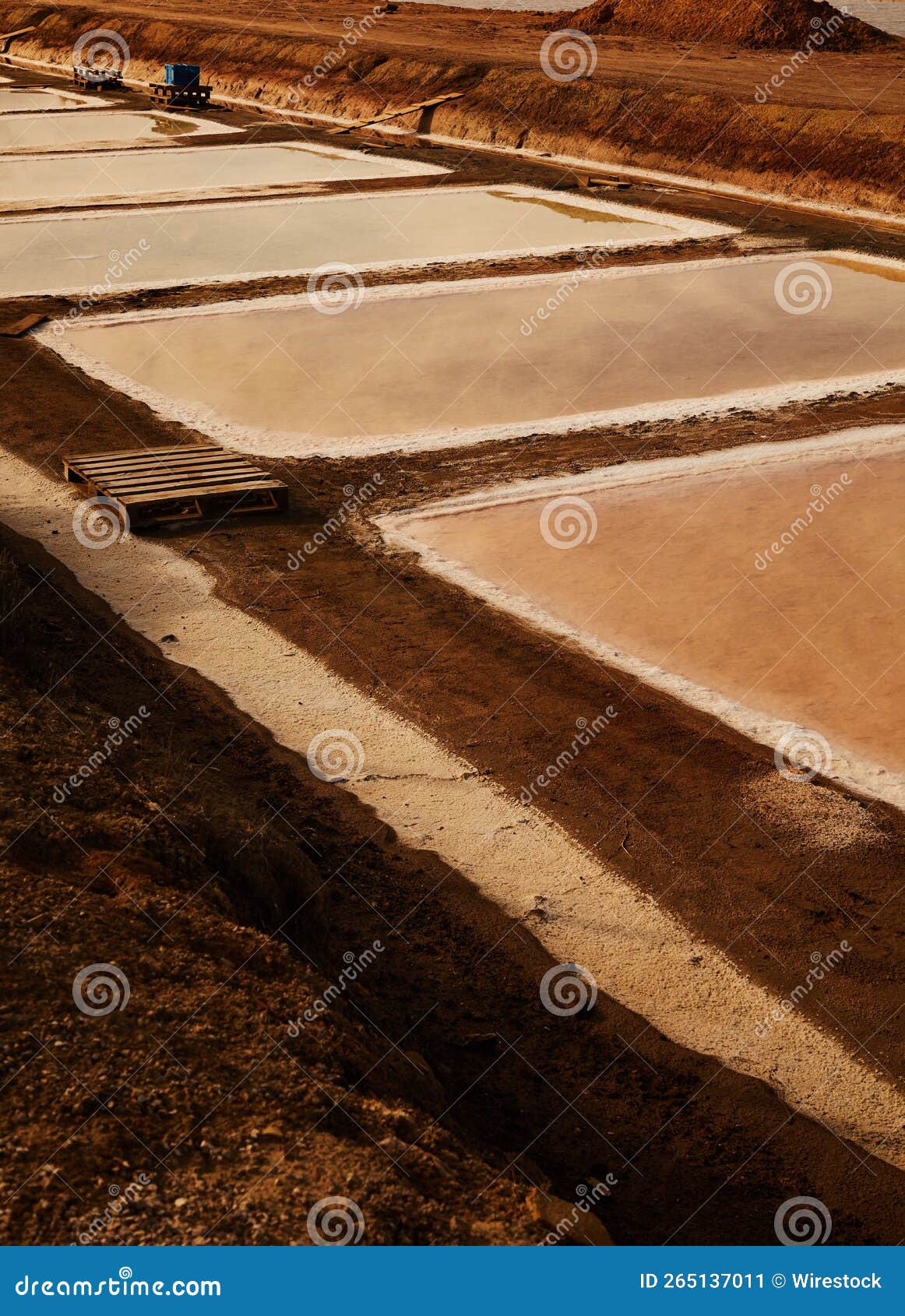 Faro Salt Pans with Drying Salt Stock Image - Image of nature, field ...