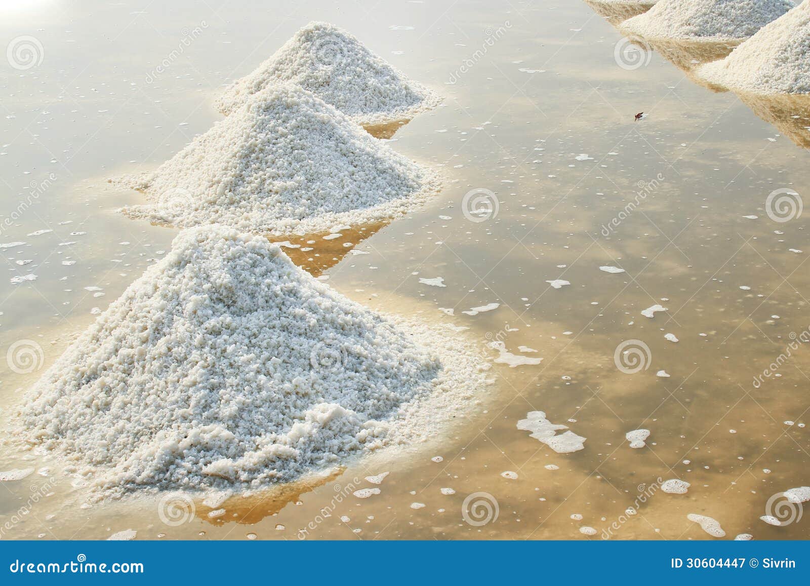 Salt pan. stock image. Image of nature, home, agricultural - 30604447