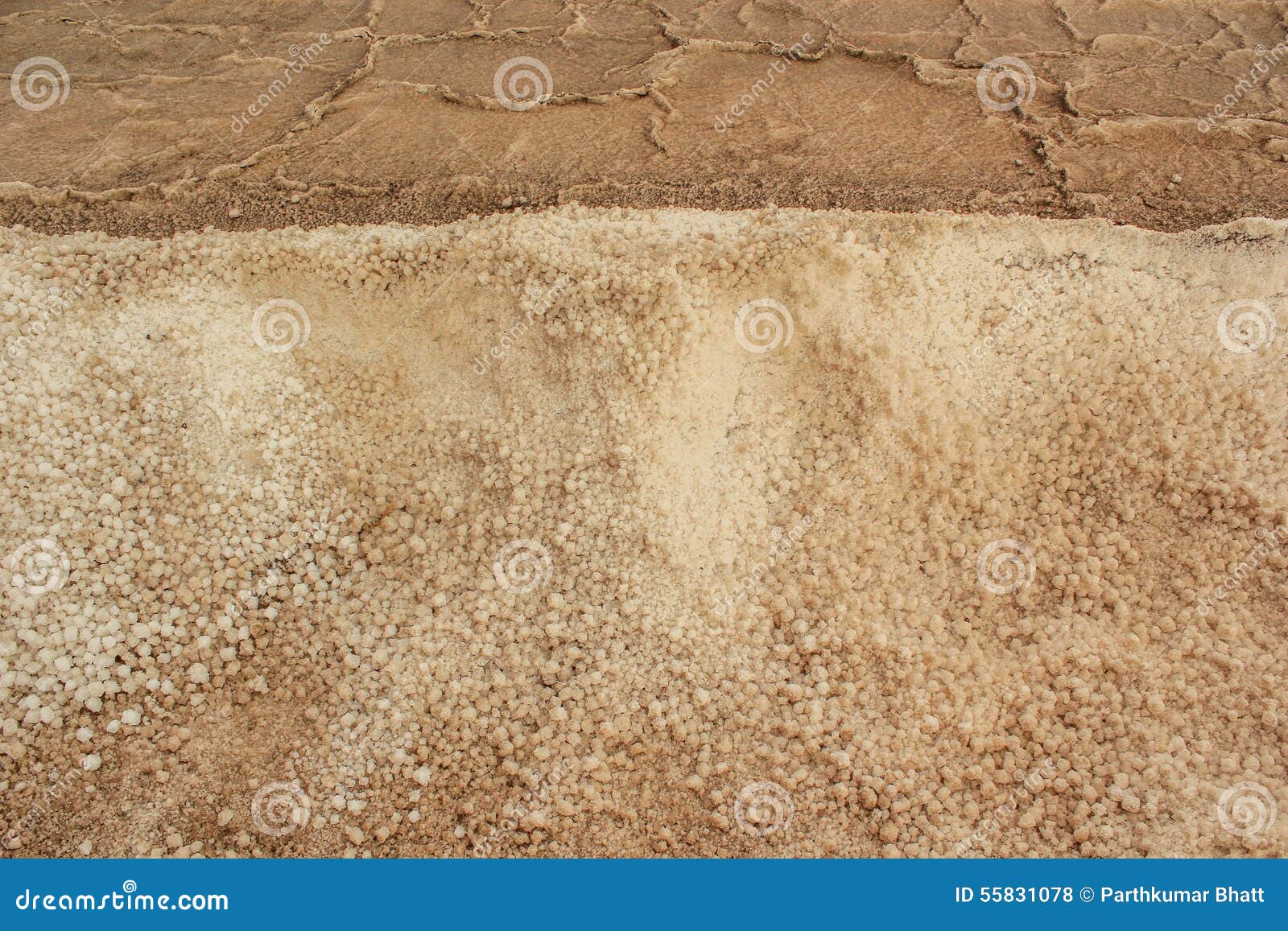 Salt Panning stock photo. Image of salt, salty, little - 55831078