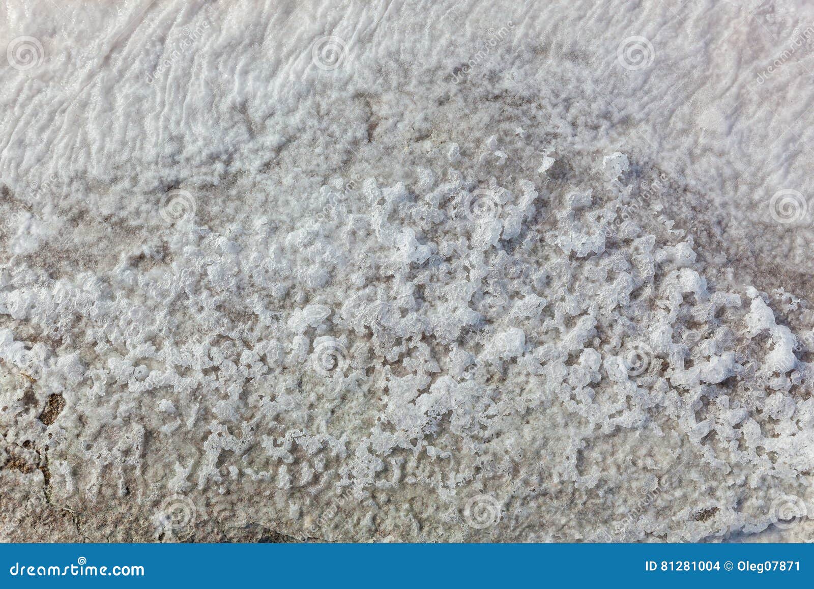 Salt patterns stock photo. Image of abstract, structure - 81281004