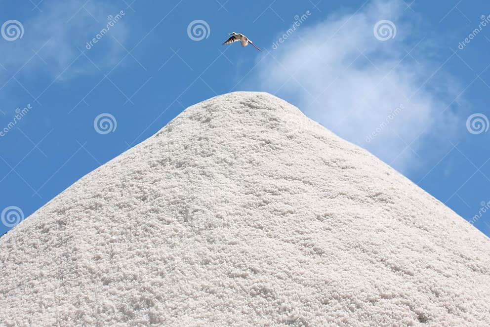 Salt pile stock image. Image of therapy, natural, salt - 15255071