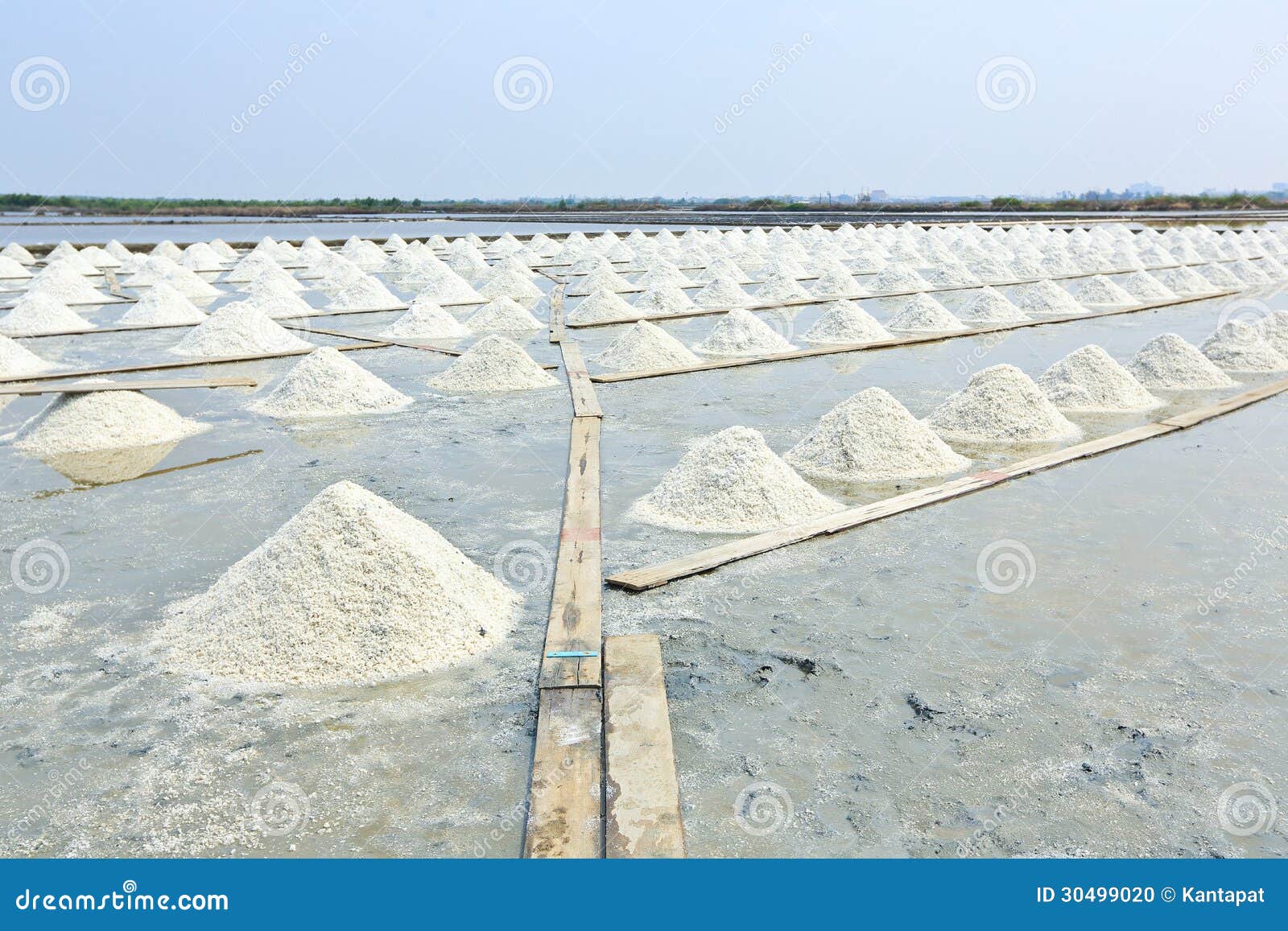 Salt pile. stock photo. Image of saline, outdoor, salty - 30499020