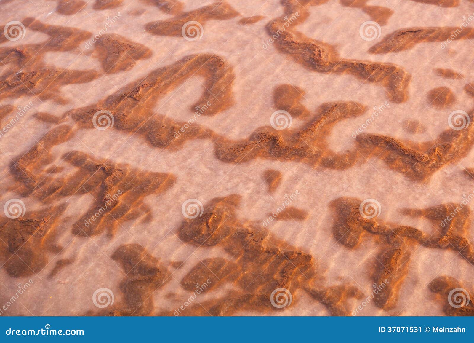 Salt Plate in a Saline Basin Stock Image - Image of drained, background ...