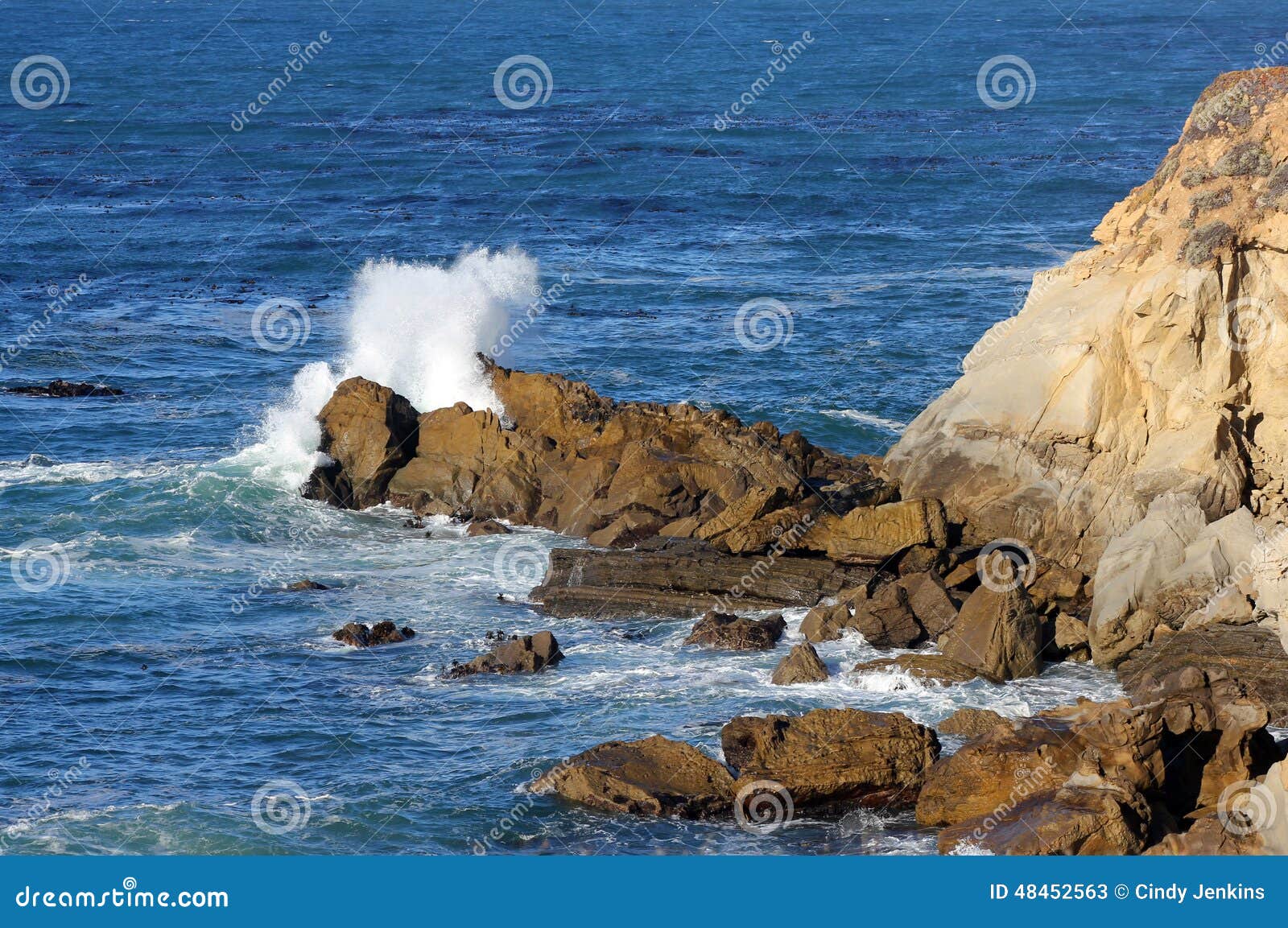 Salt Point California stock image. Image of county, park - 48452563