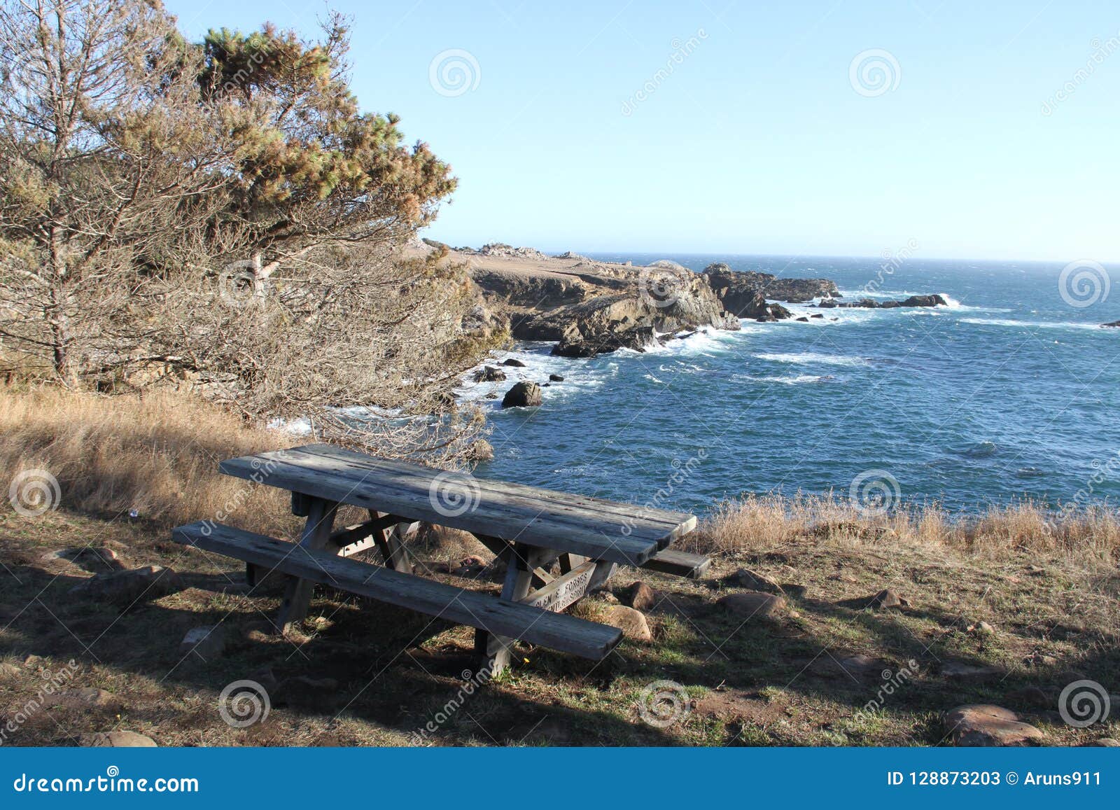 Salt Point State Park California Stock Image - Image of rugged, highway ...