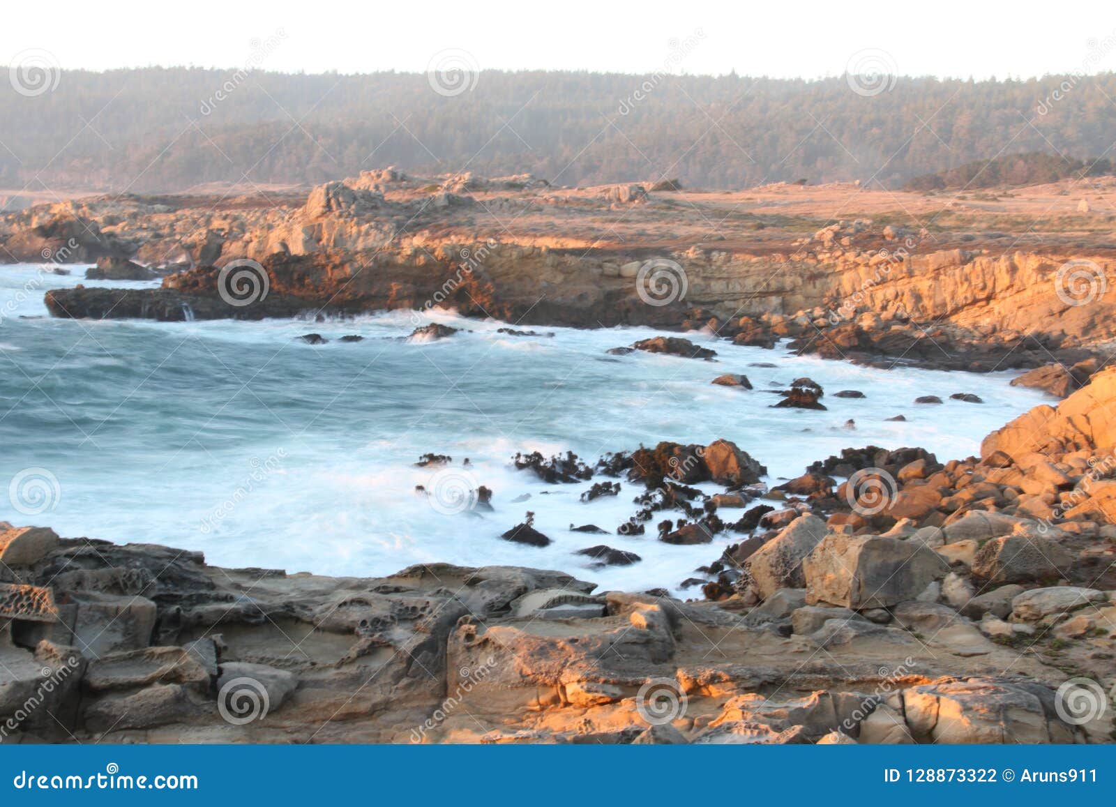 Salt Point State Park California Stock Photo - Image of highway, state ...