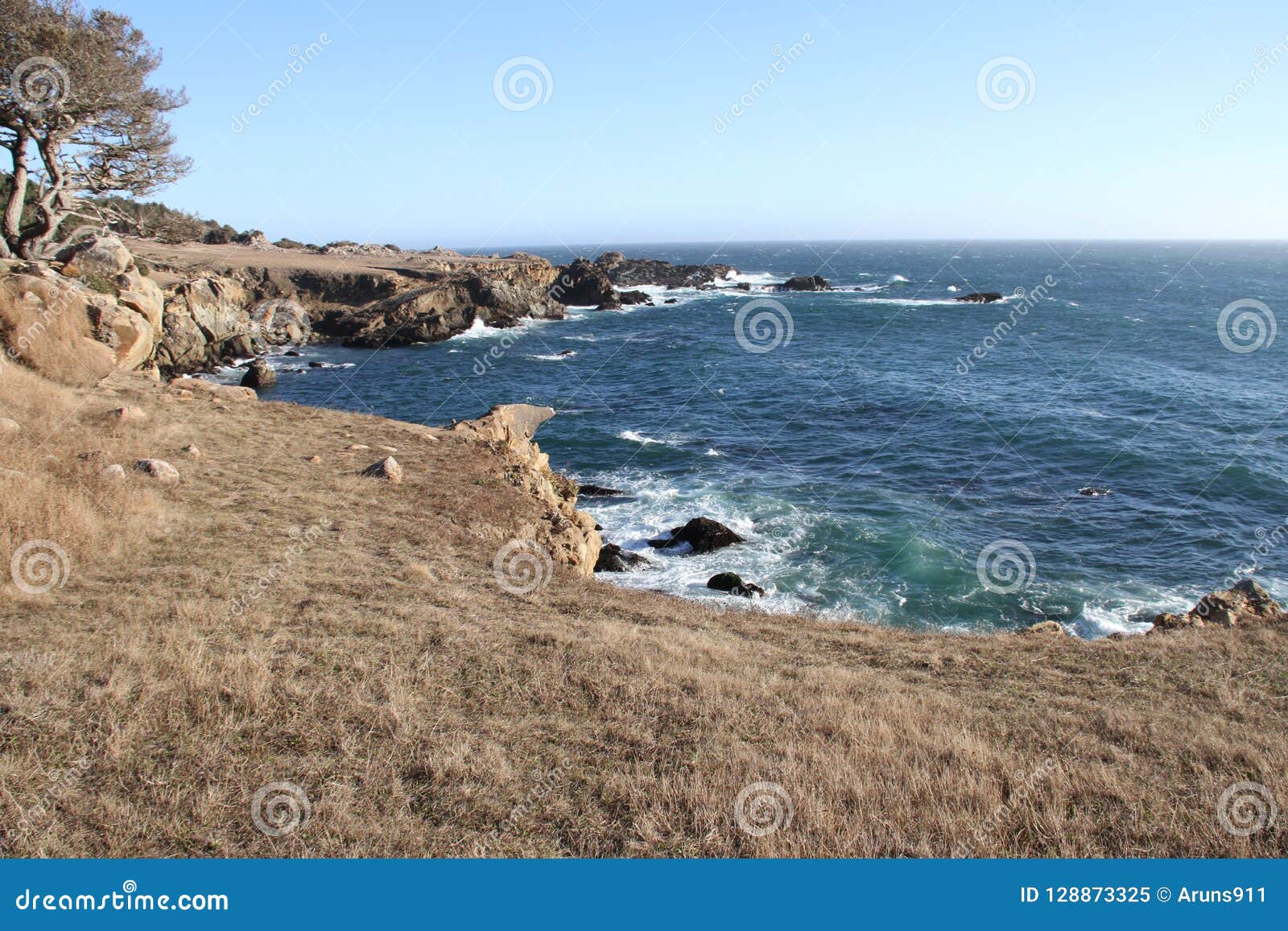 Salt Point State Park California Stock Image - Image of salt, nature ...