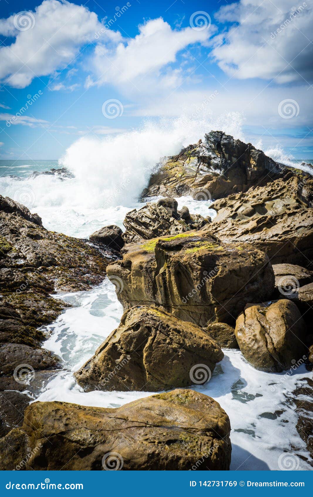 Salt Point State Park stock image. Image of dawn, horizon - 142731769