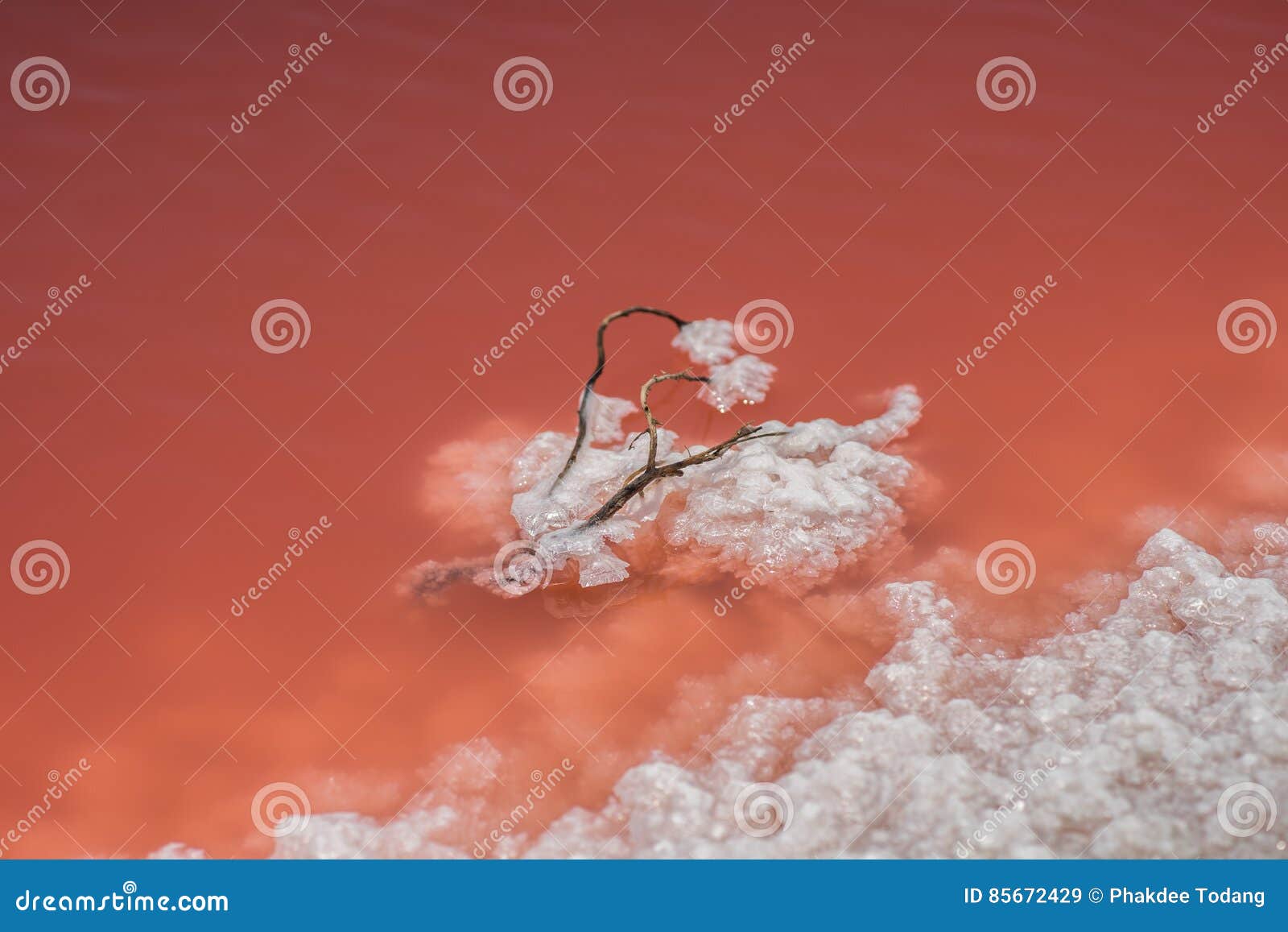 Salt in red water stock image. Image of snow, reaction - 85672429