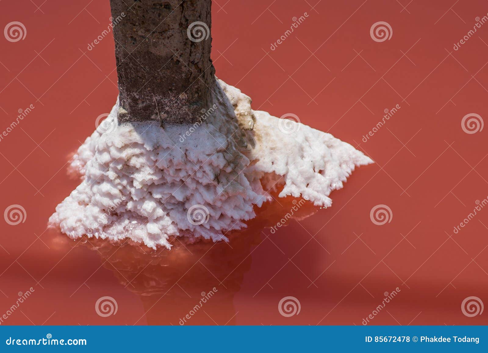 Salt in red water stock photo. Image of water, reaction - 85672478
