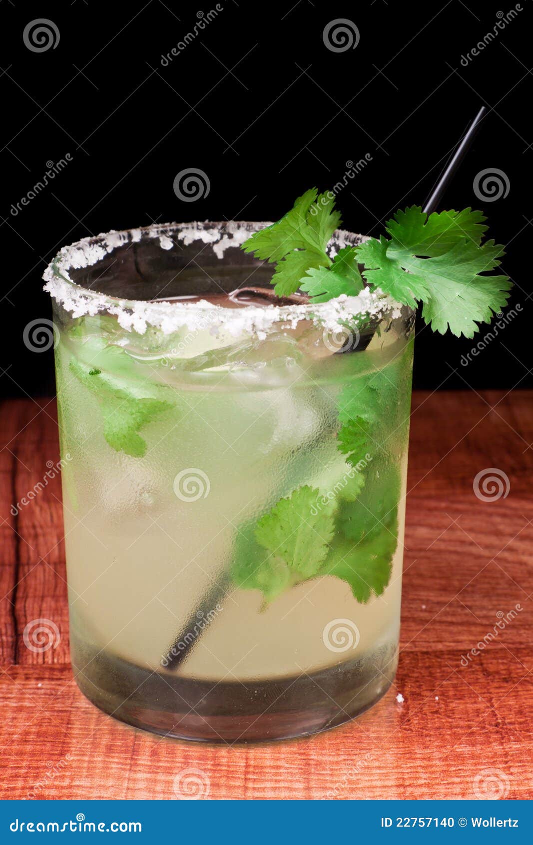Salt Rim Margarita stock photo. Image of drink, cocktail - 22757140