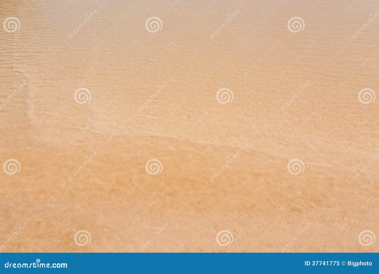 Salt in a Saline Basin Dried and Cracked Stock Image - Image of brown ...