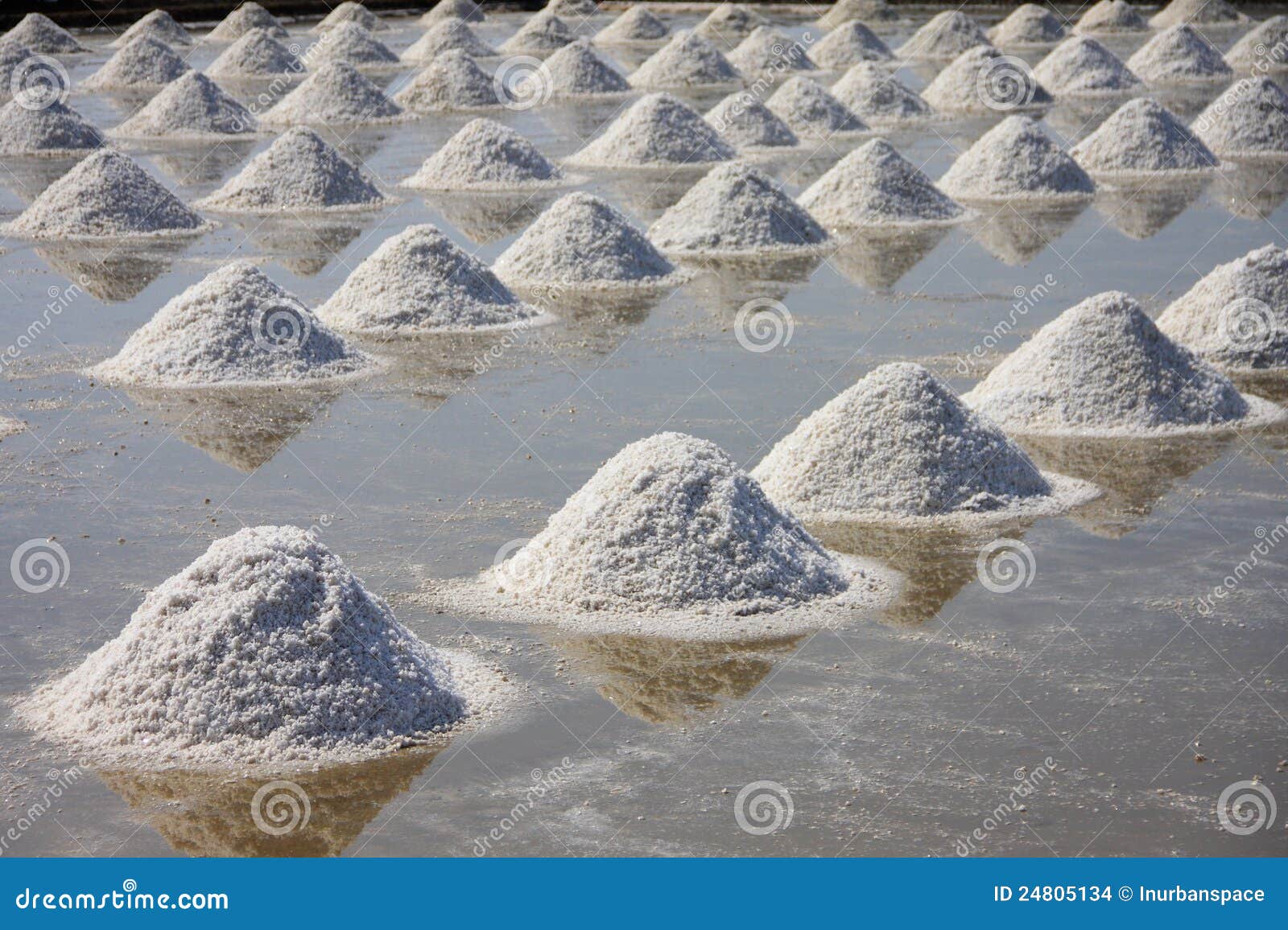 Salt on the Salt Pan at Rural Area,Thailand Stock Photo - Image of asia ...